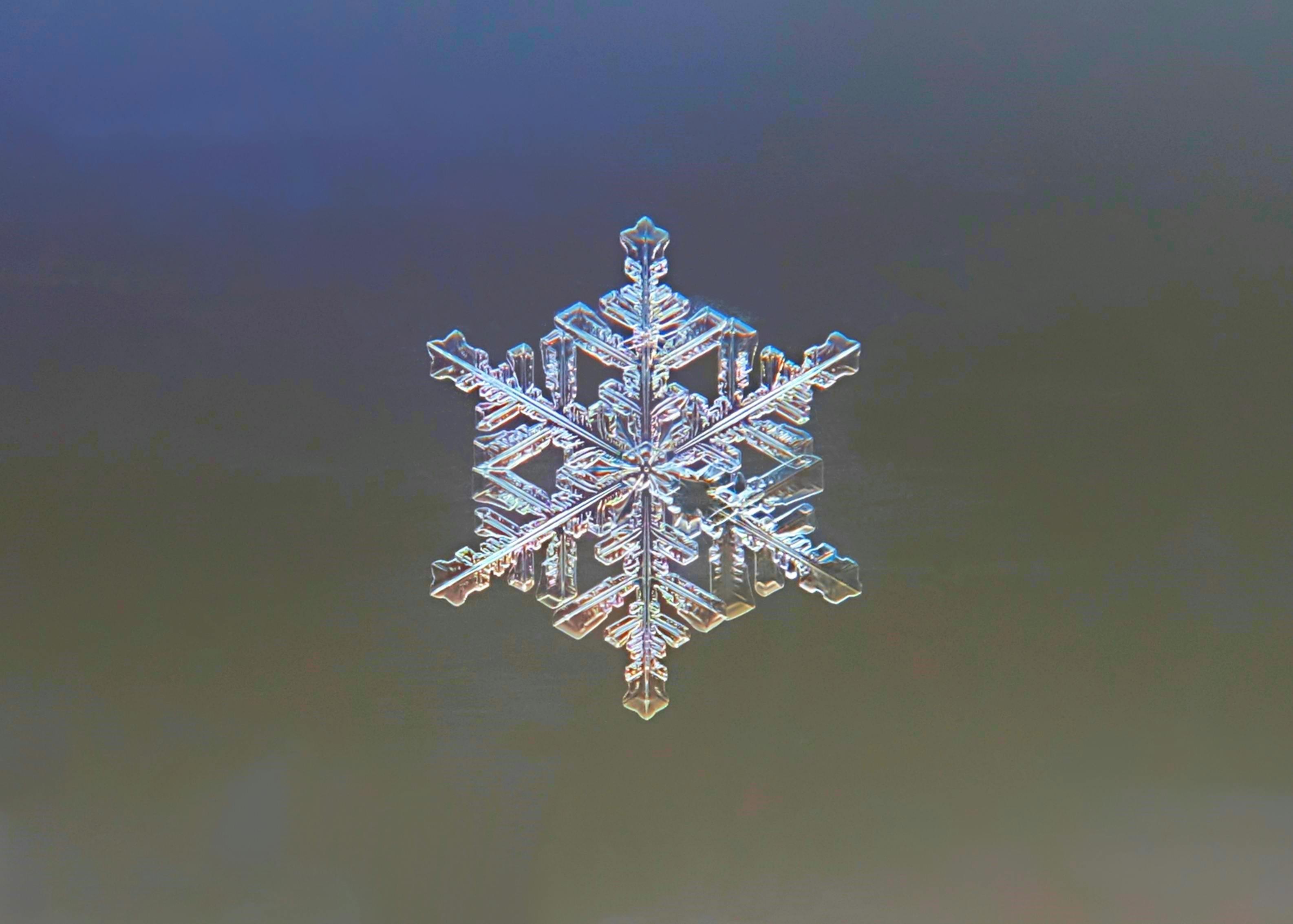 Kristin Morgan - Photography