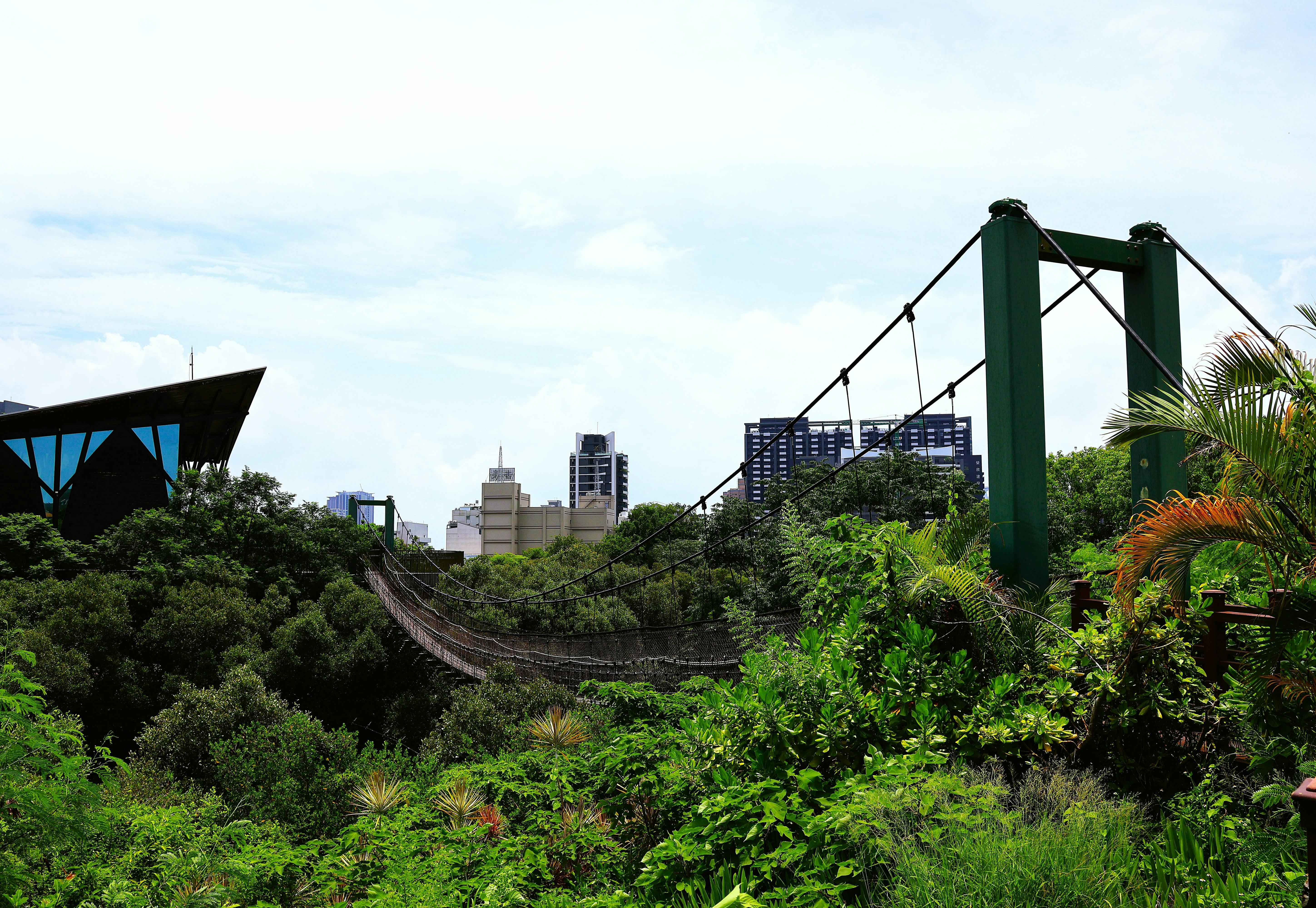 Strangled Cables Photos, Download The BEST Free Strangled Cables Stock ...