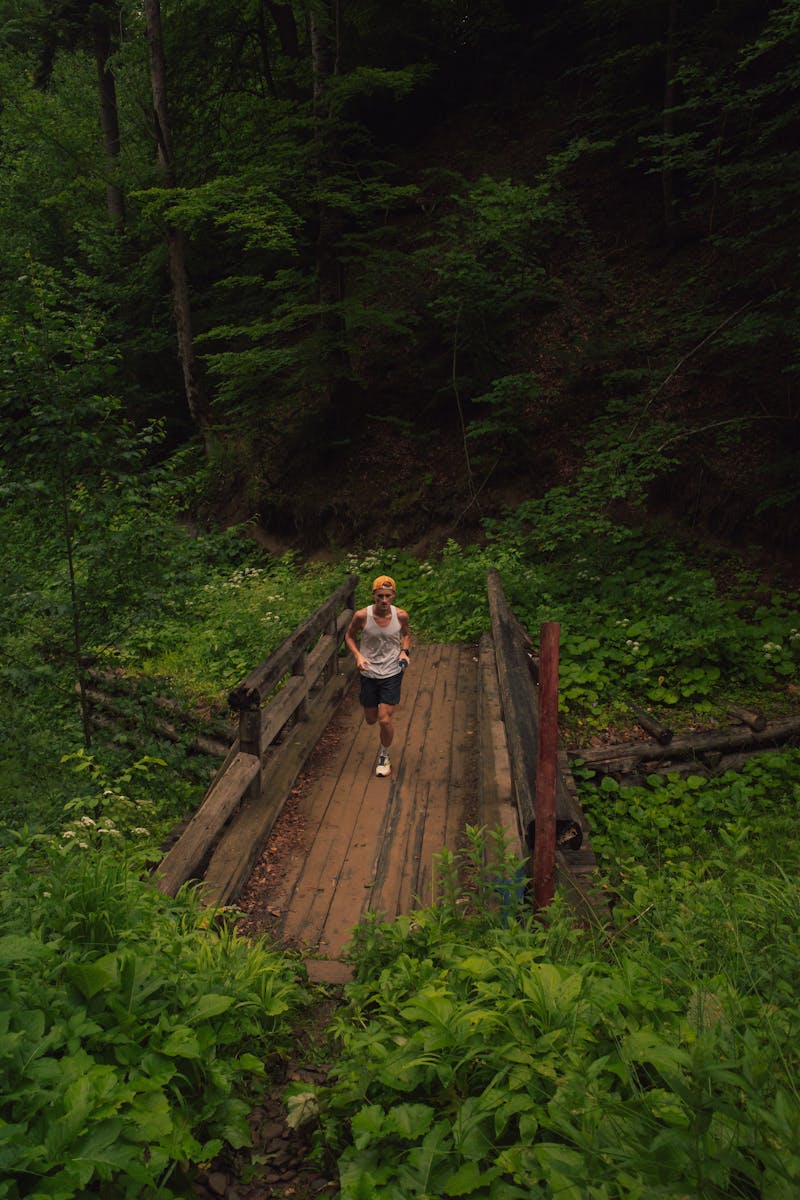 Path In Forest Photos, Download The BEST Free Path In Forest Stock ...