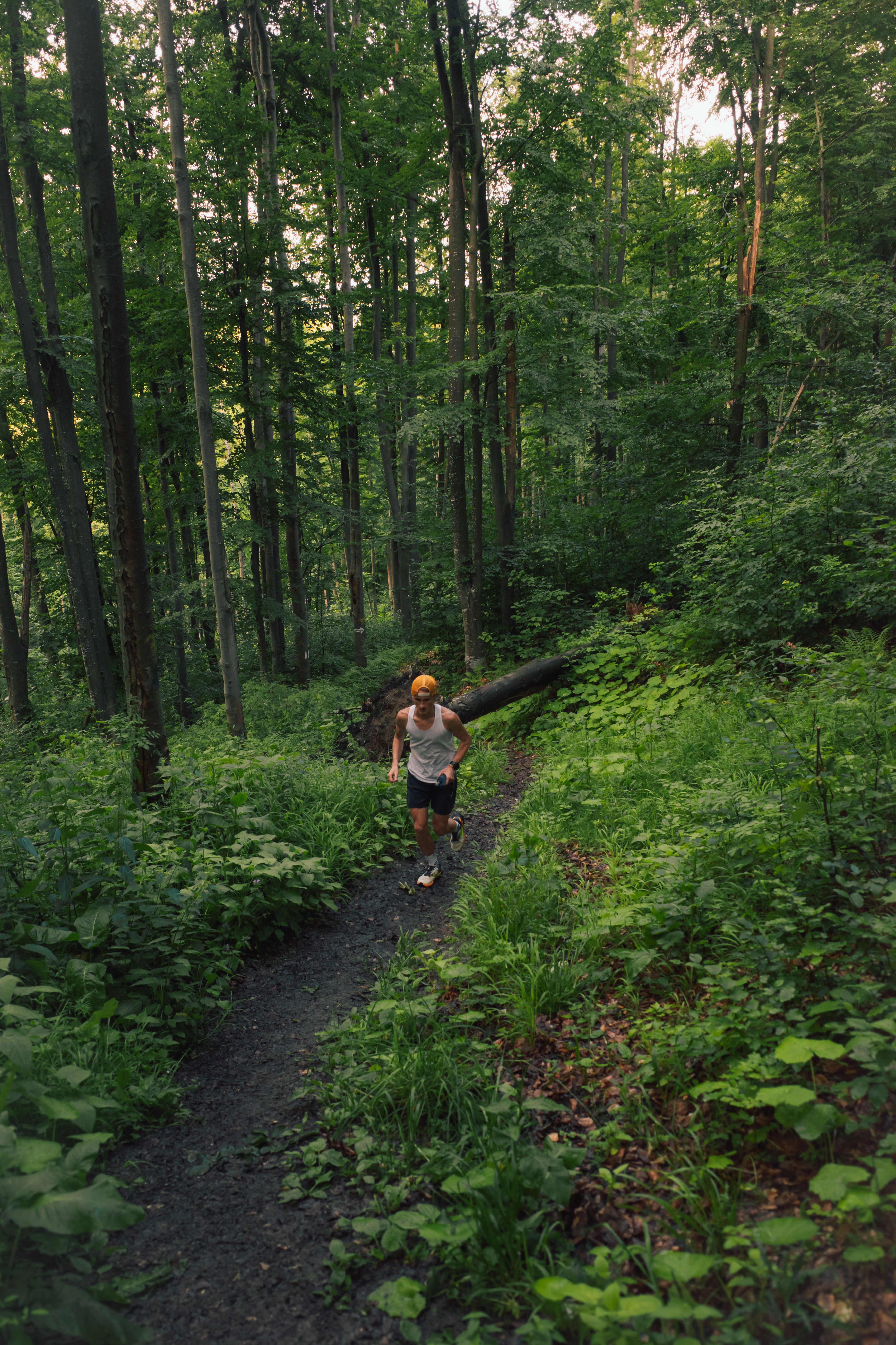Trail Running Photos, Download The BEST Free Trail Running Stock Photos ...