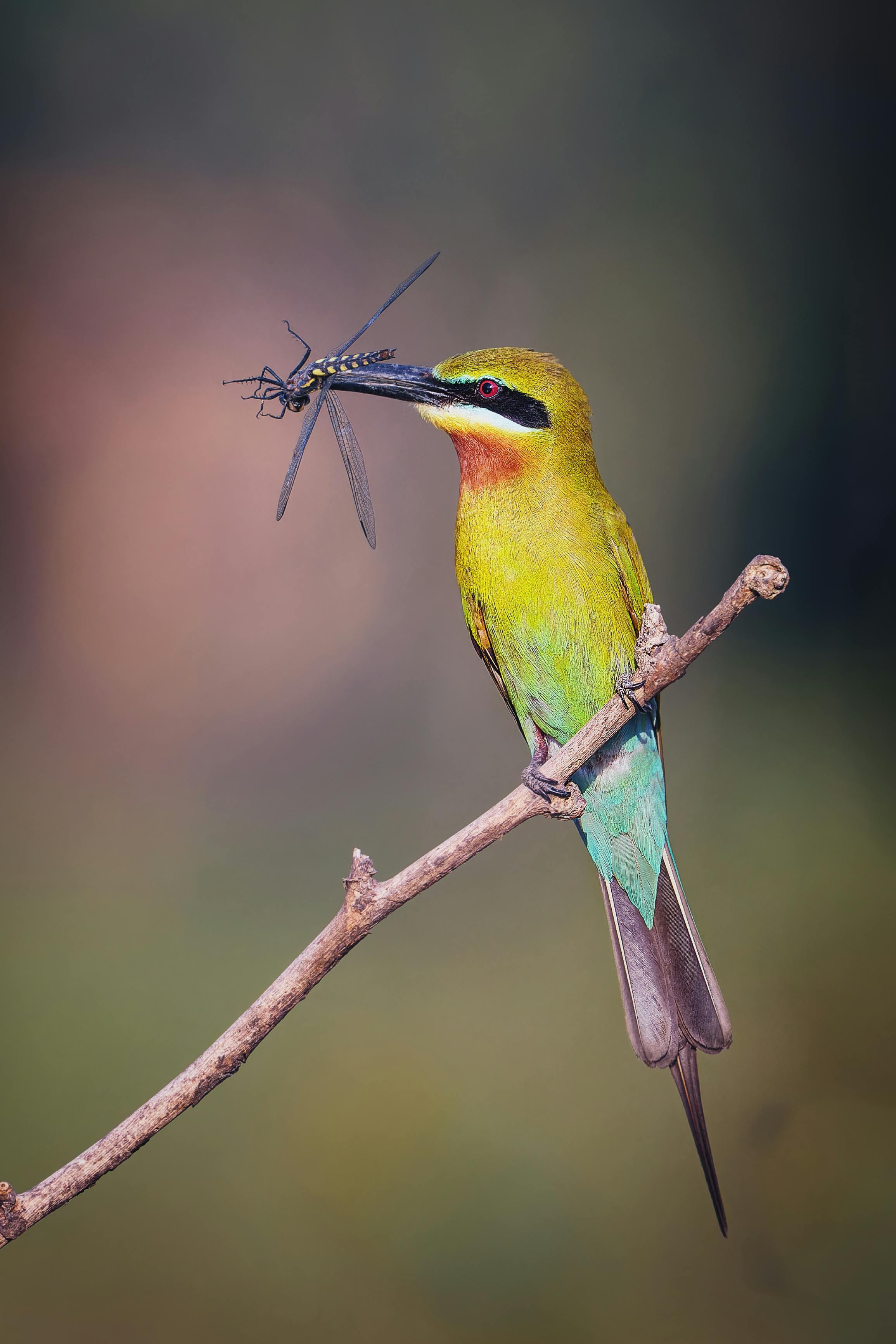 Conservation Photos, Download The BEST Free Conservation Stock Photos ...