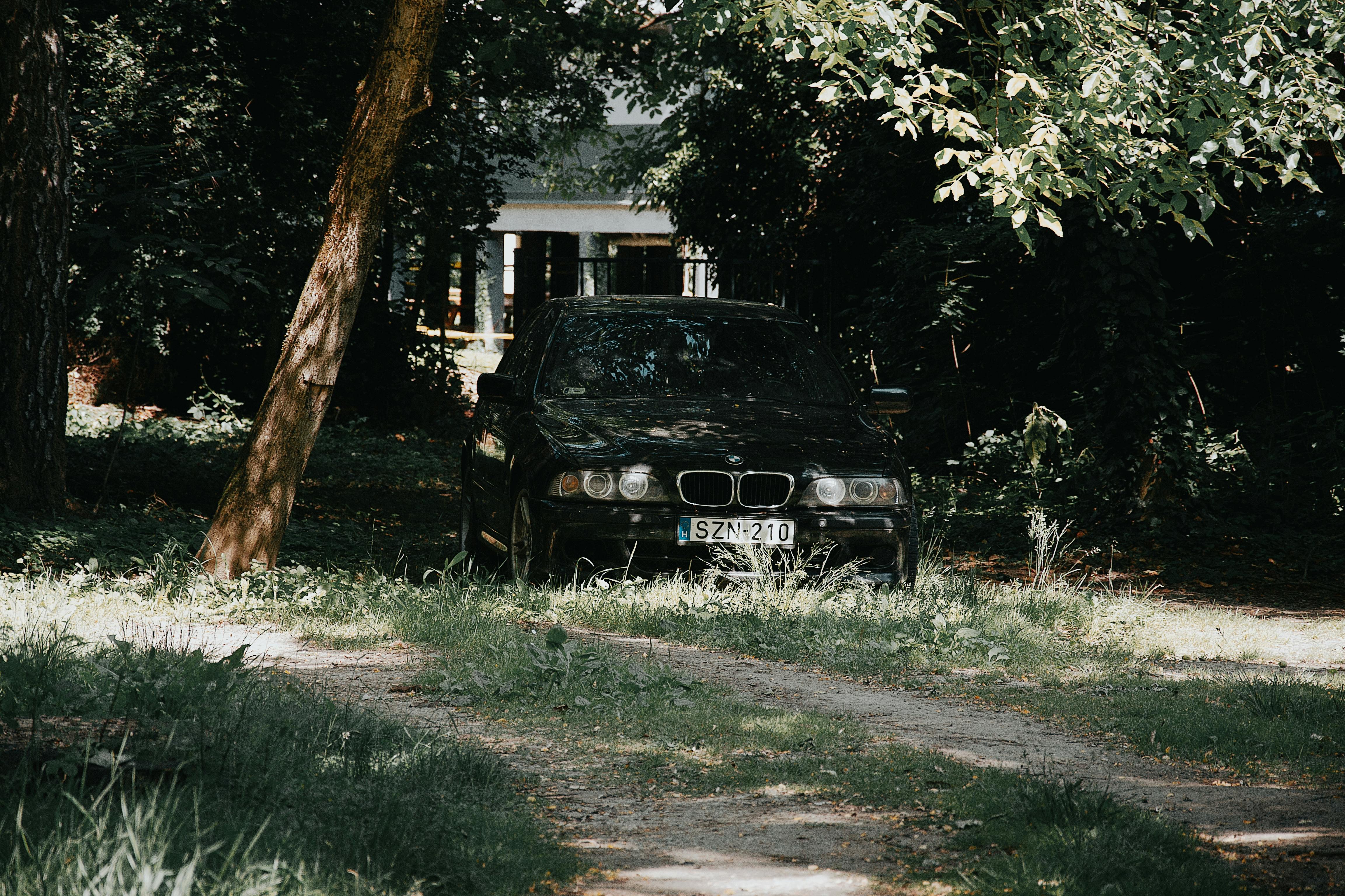 Ücretsiz 4k arka plan, 4k duvar kağıdı, açık, açık hava, ağaçlar ...