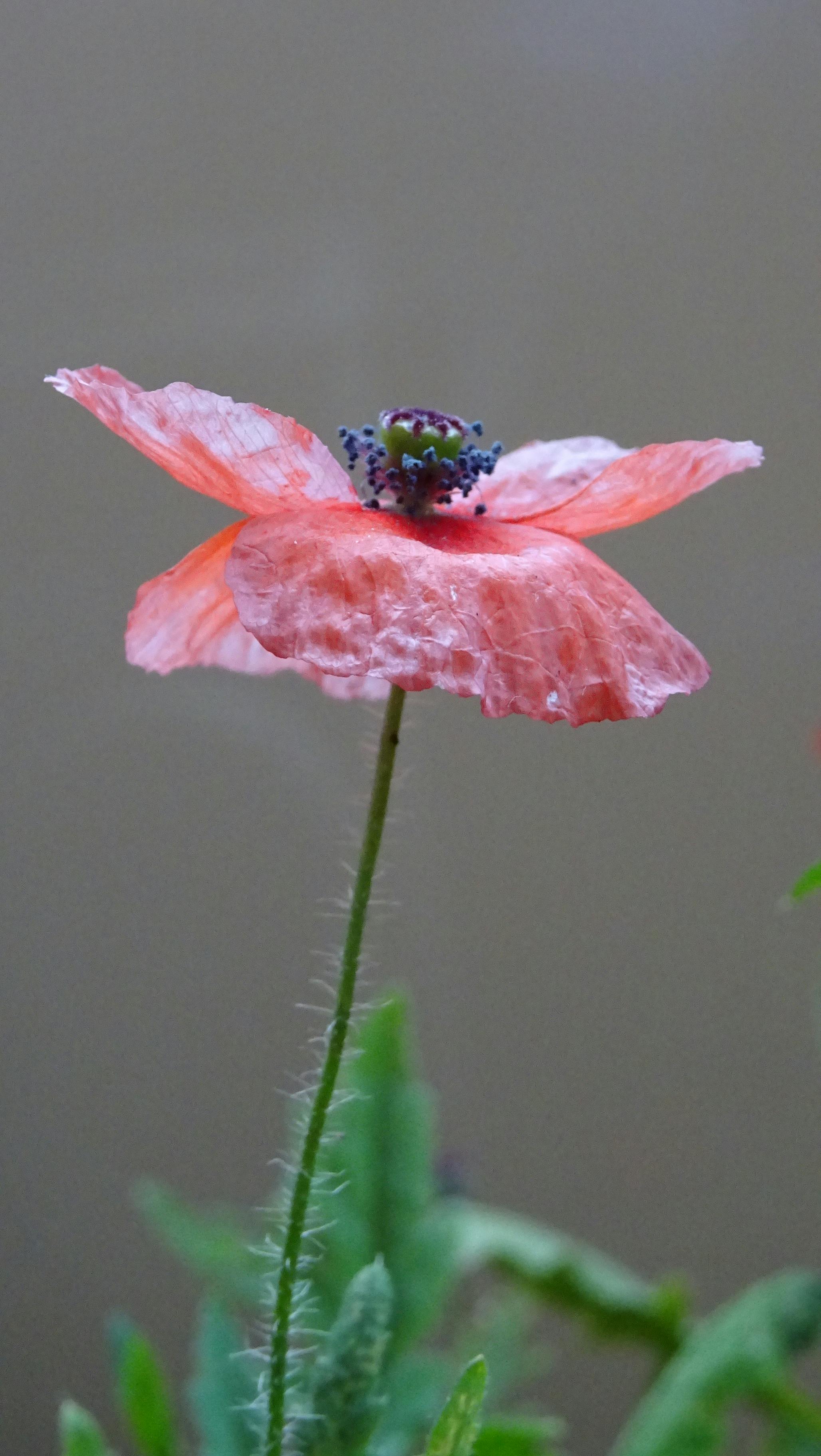 Back+To+Back+Drawing+Images Photos, Download The BEST Free Back+To+Back ...