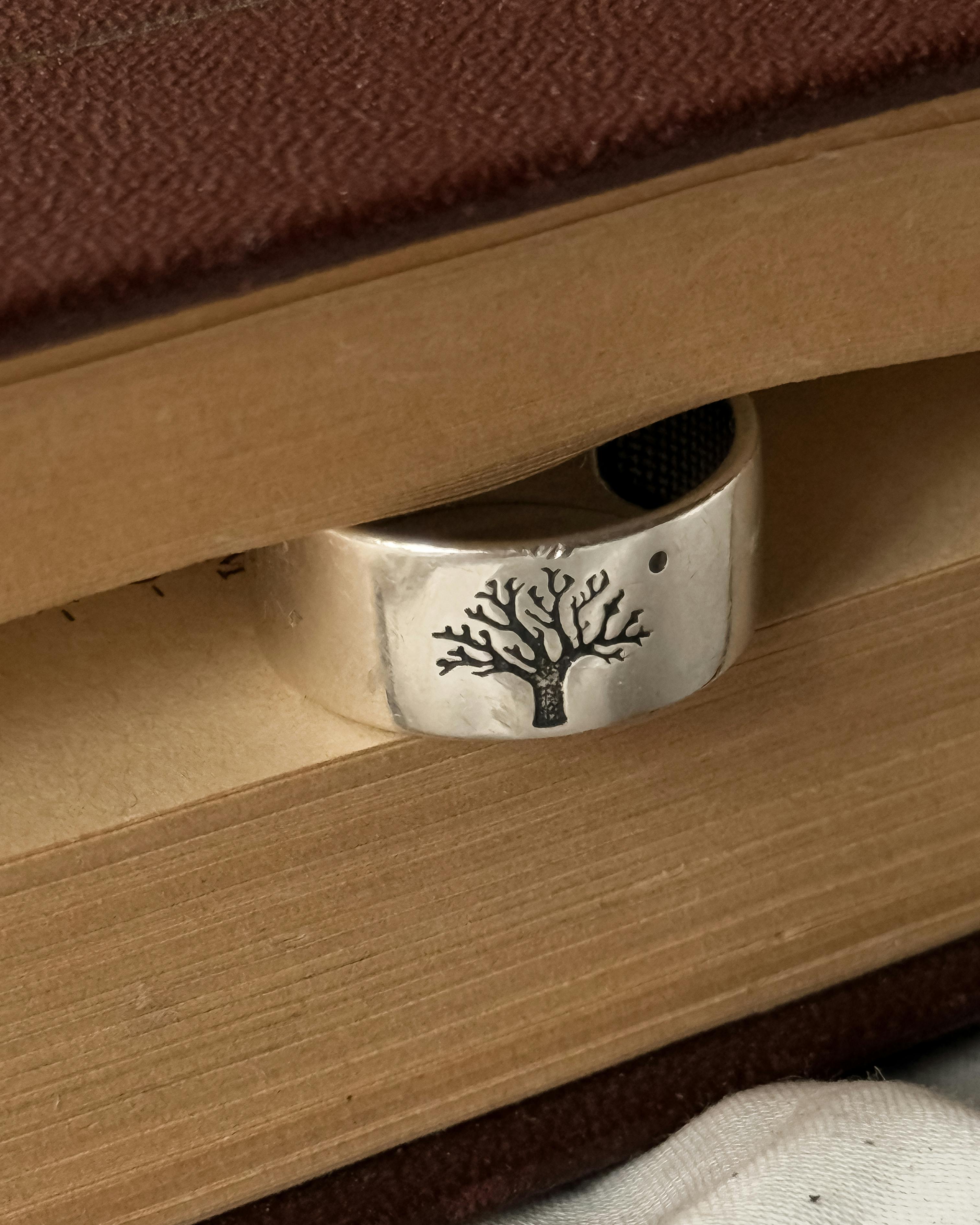 Silver Starlets Violette Photos, Download The BEST Free Silver Starlets ...