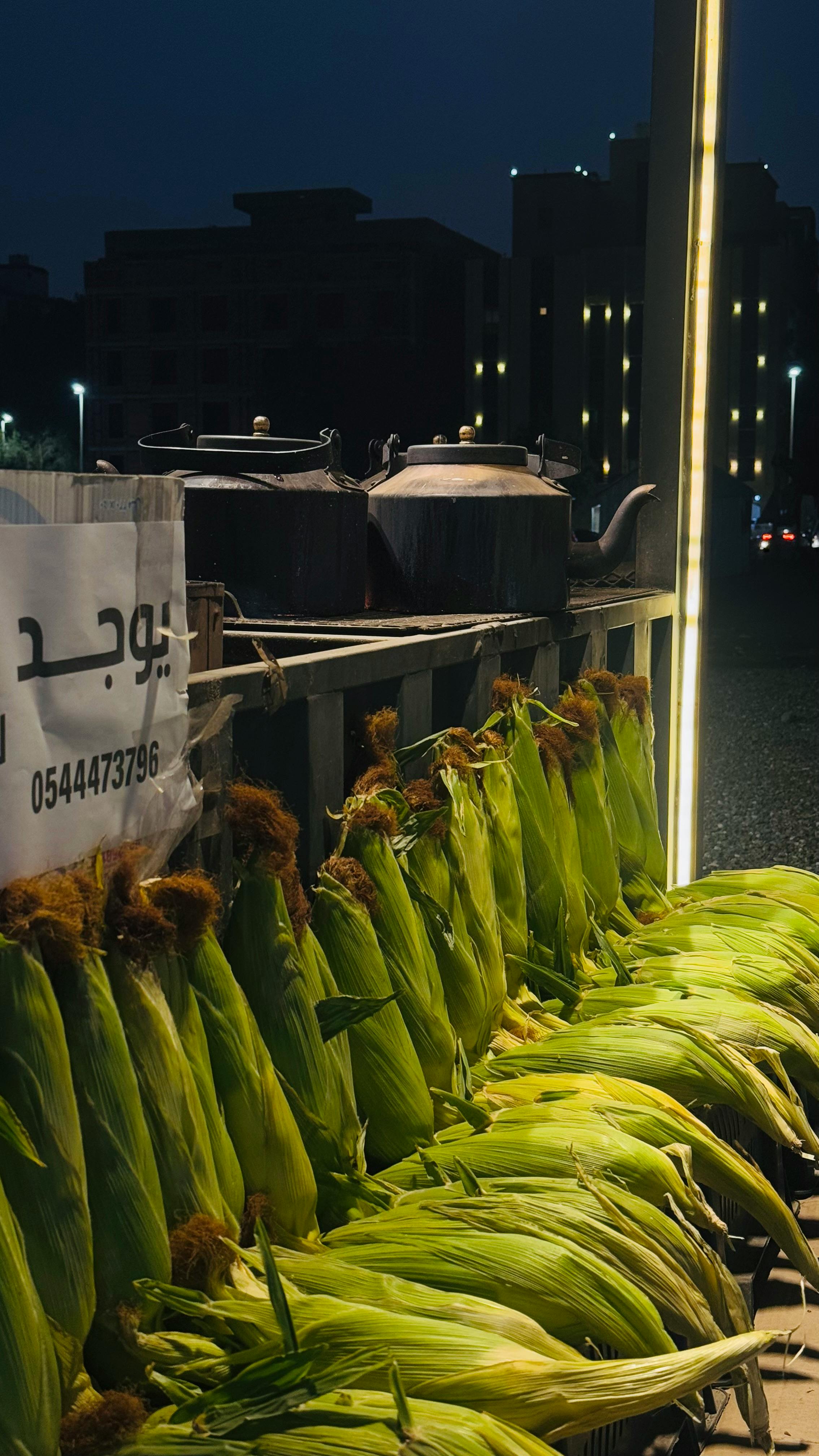 20,000+张最精彩的“Information Cocoon”图片 · 100%免费下载 · Pexels素材图片