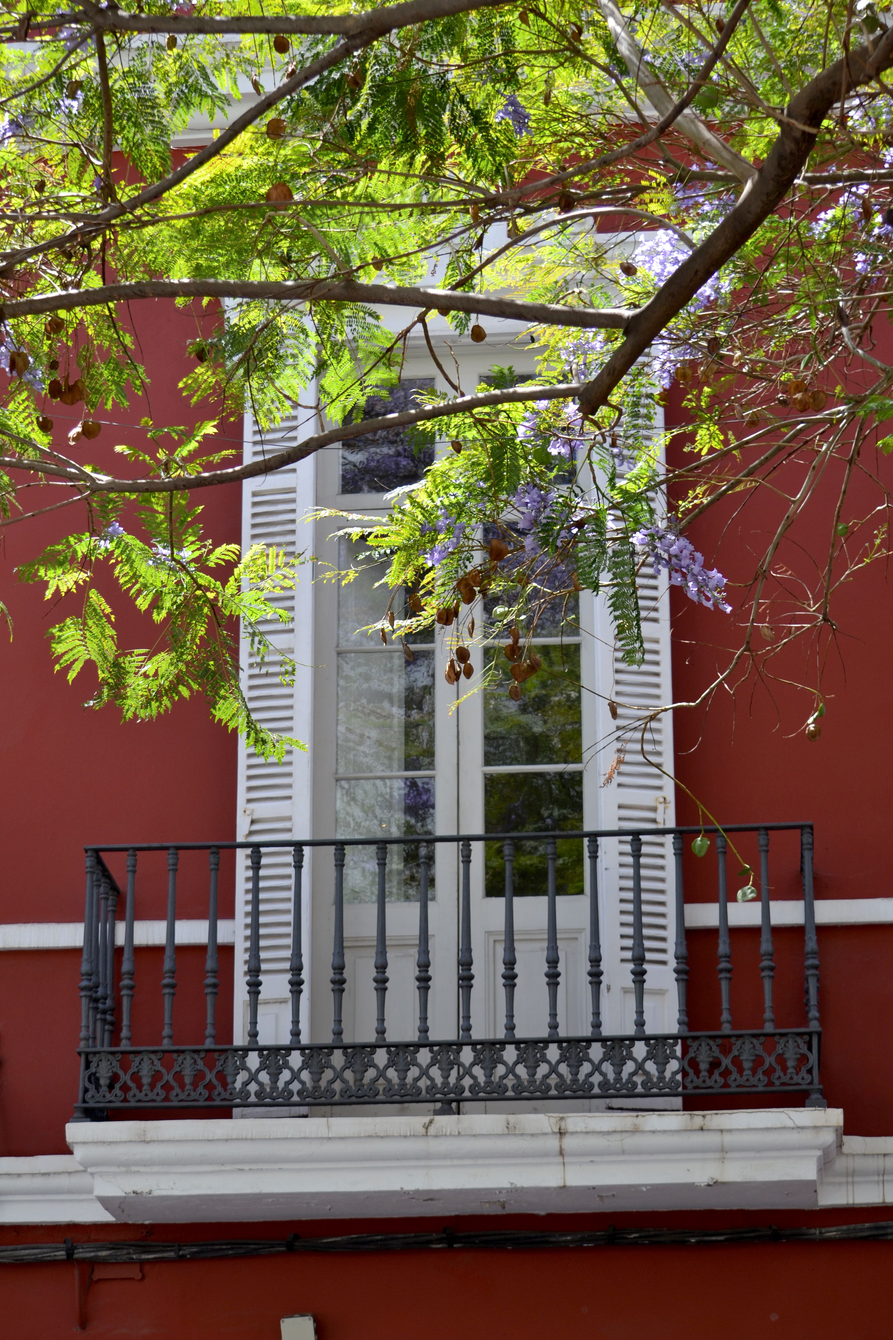 Encantador Balcón Urbano Con árboles En Flor · Foto de stock gratuita