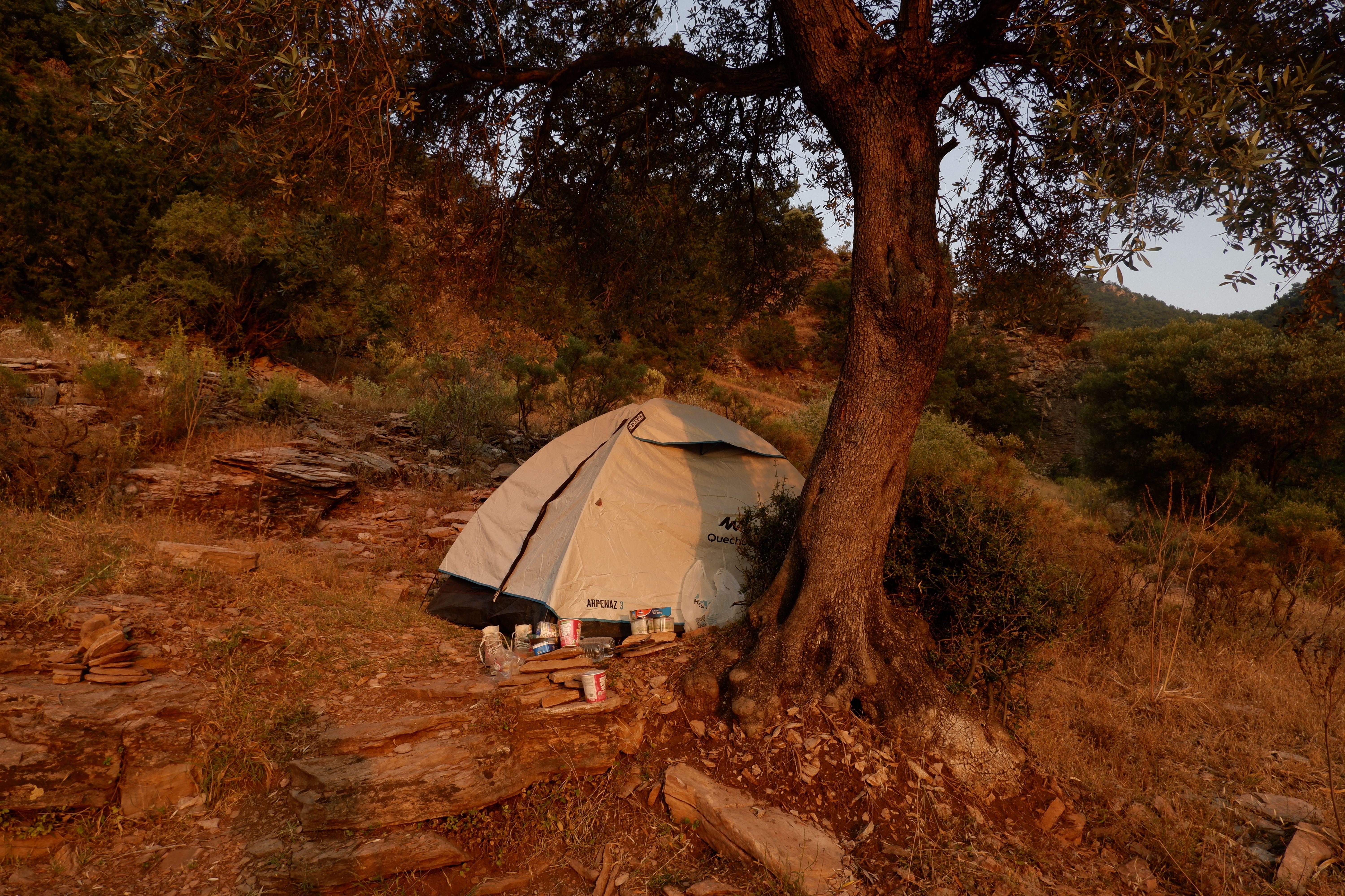 Rustic Outdoor Camping with Tent in Forest · Free Stock Photo