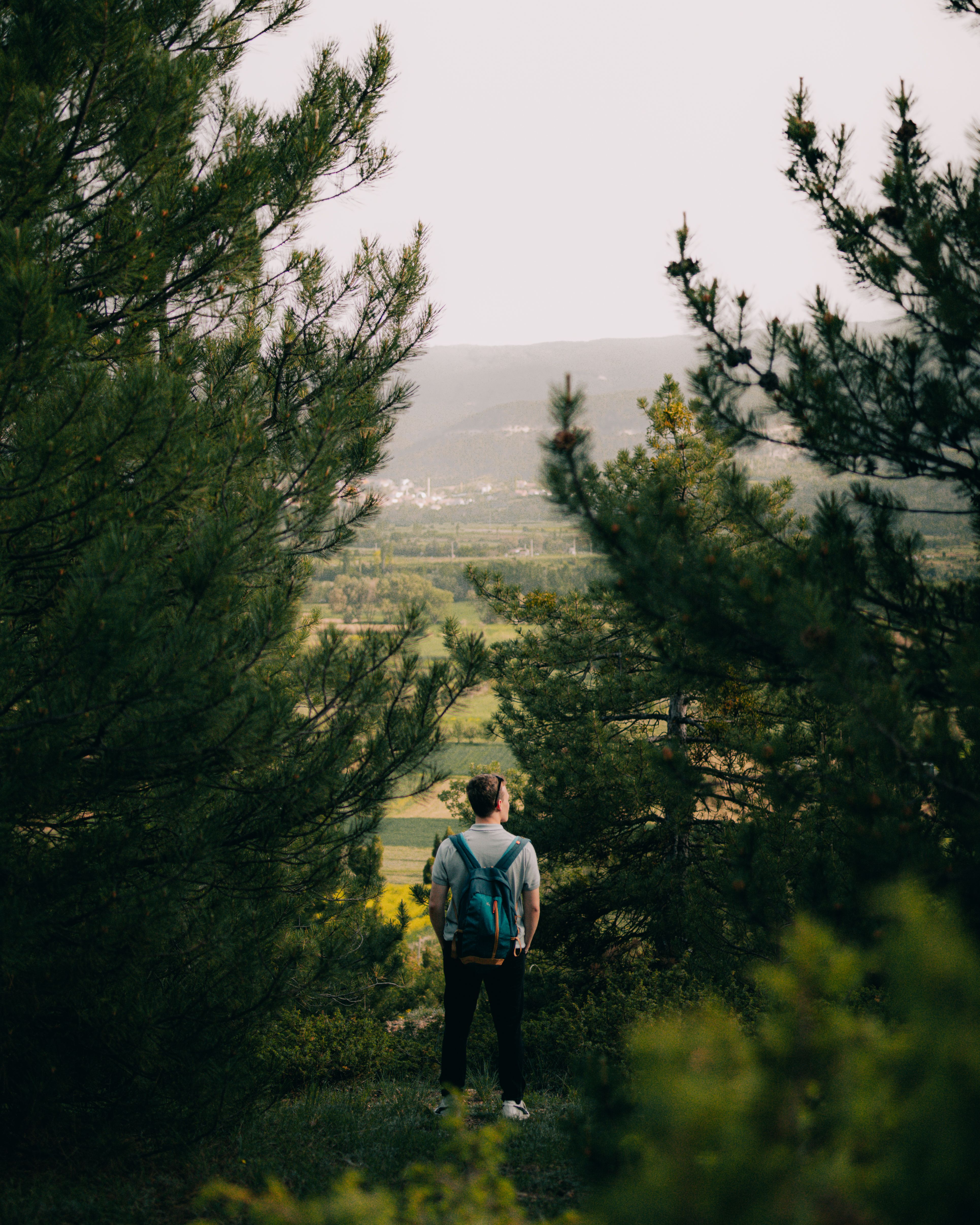 Photo of a Man Sitting Under the Tree · Free Stock Photo