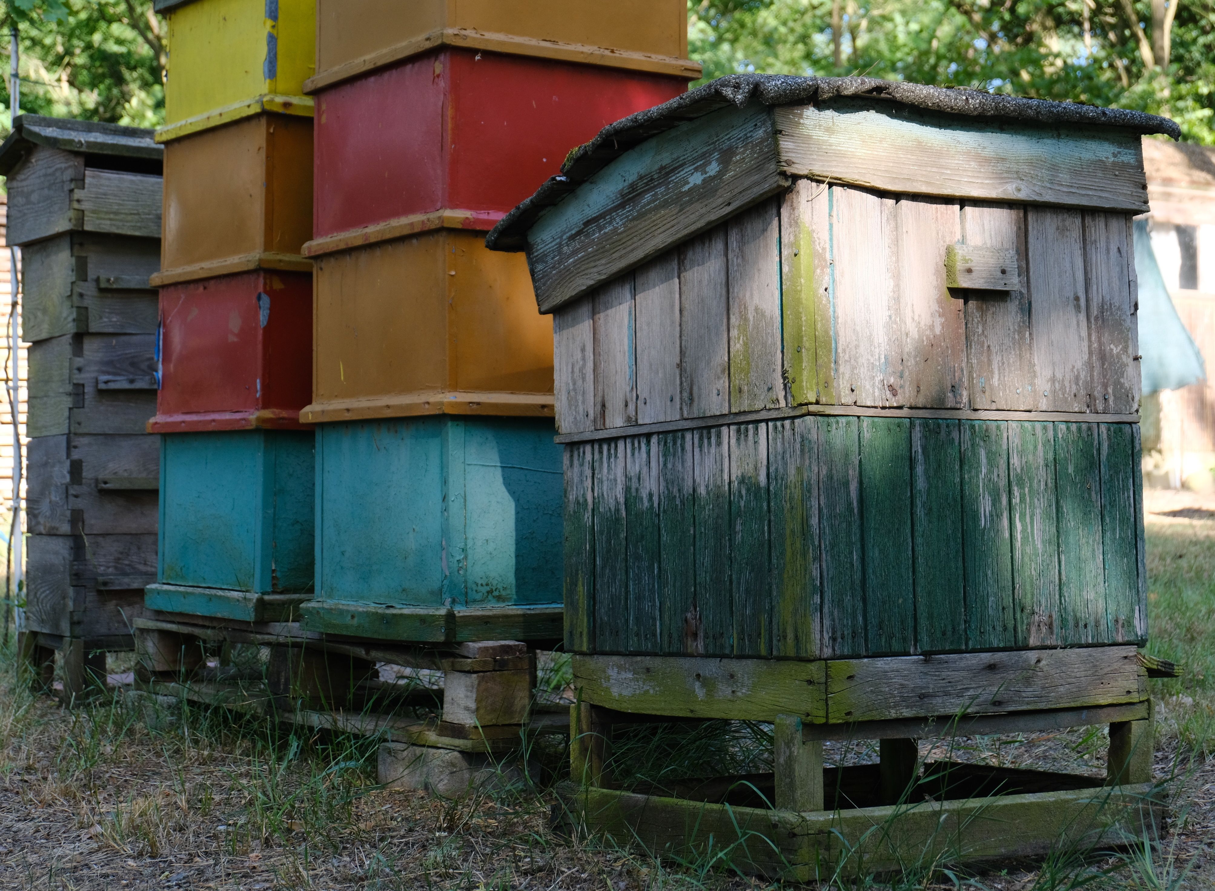 Beehive Photos, Download The BEST Free Beehive Stock Photos & HD Images