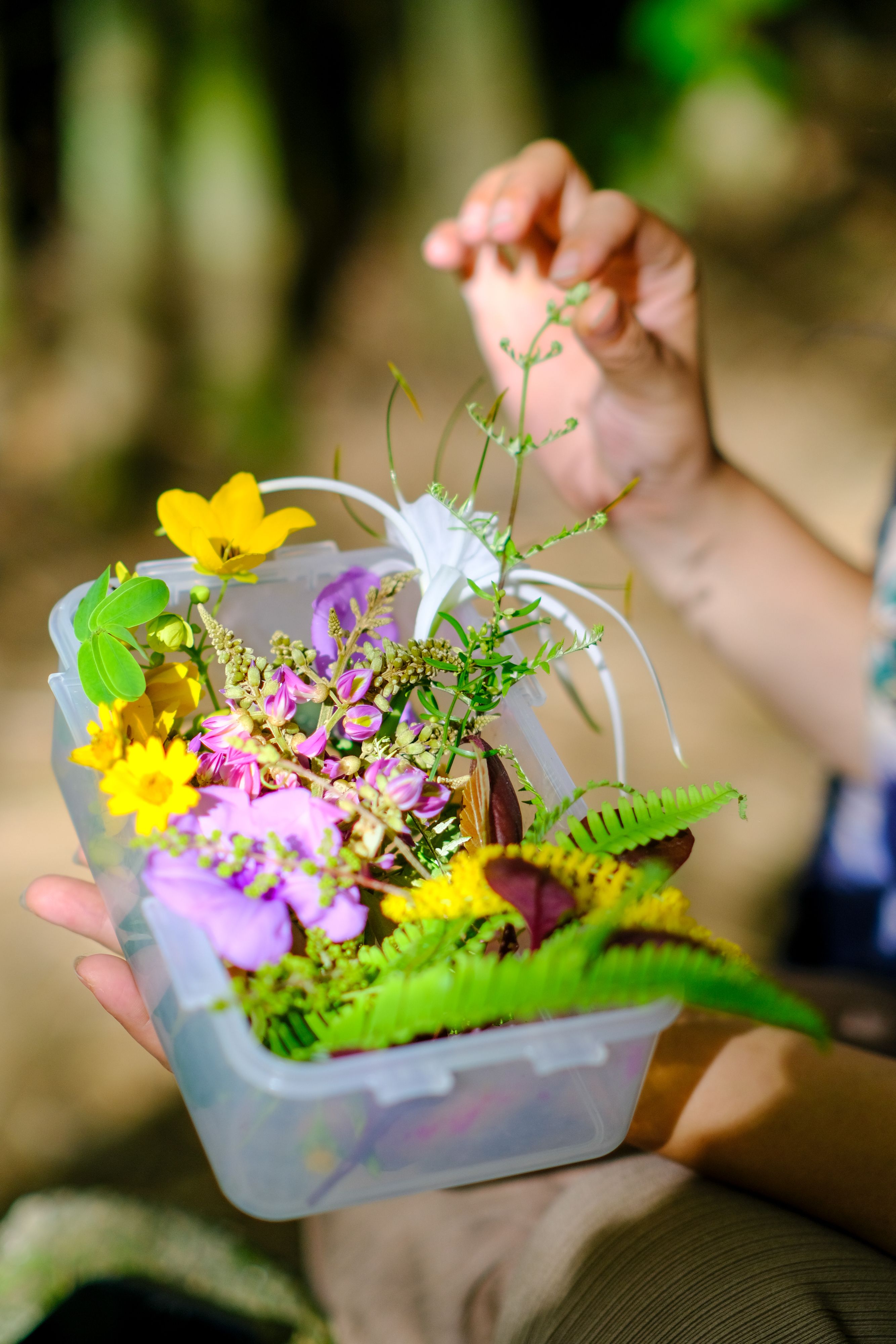 Colorful Handcrafted Floral Arrangement in Hue · Free Stock Photo