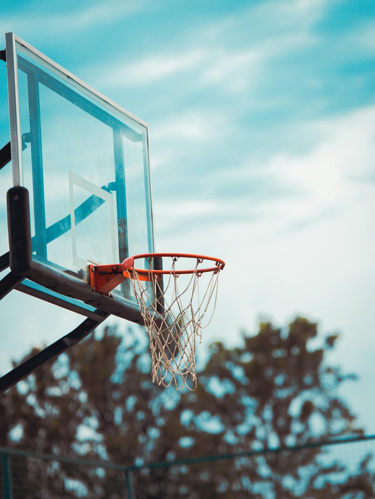 Basketball Pfp Photos, Download The BEST Free Basketball Pfp Stock ...