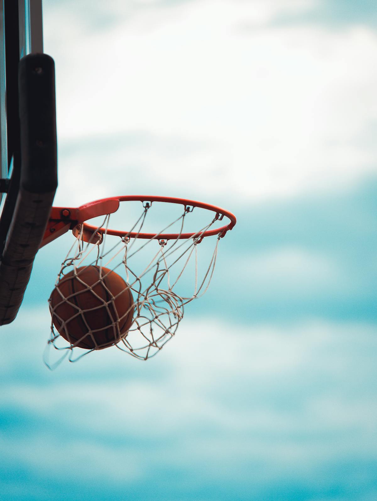 Basketball Pfp Photos, Download The BEST Free Basketball Pfp Stock ...