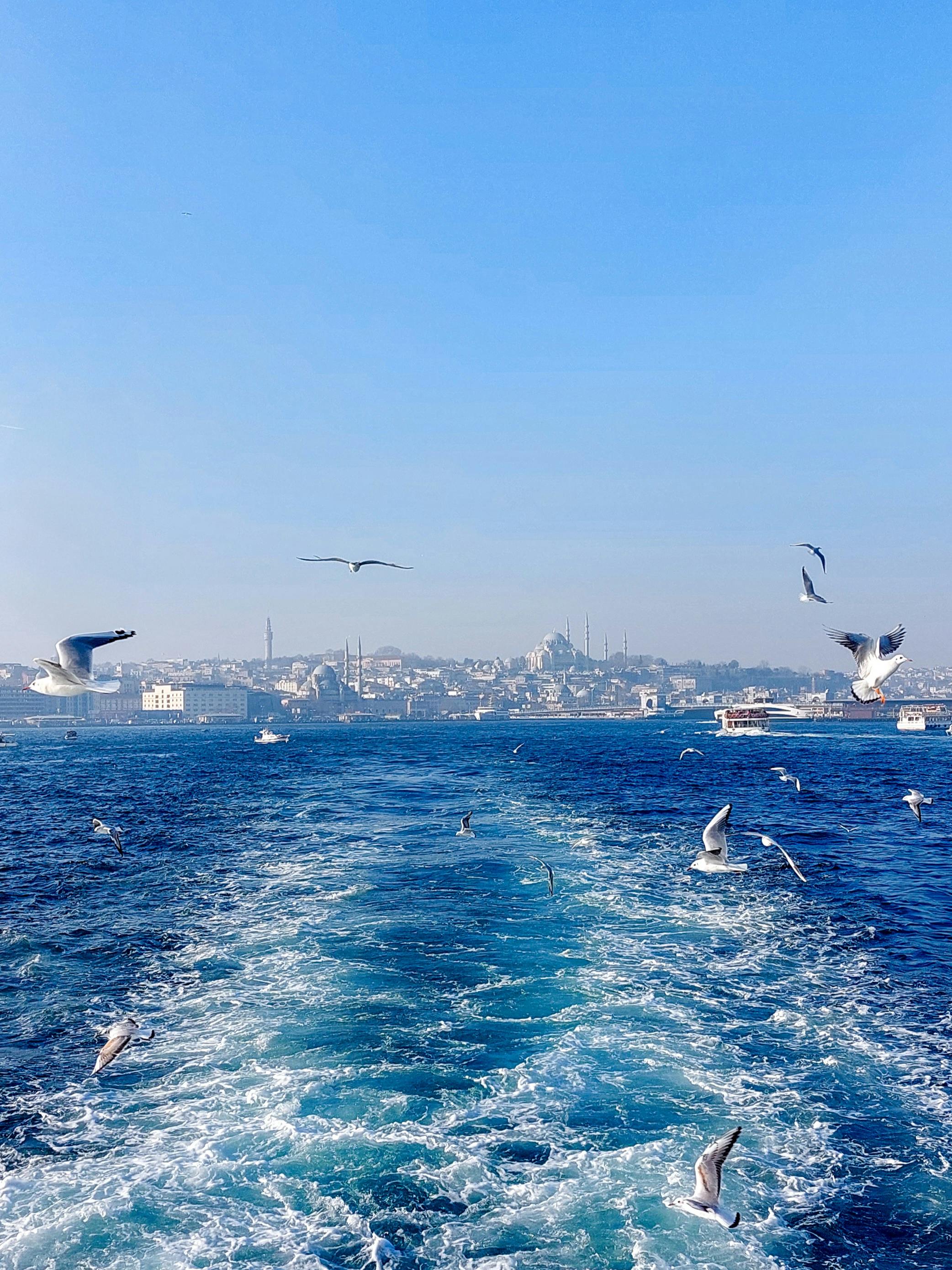 Alssund Bridge Photos, Download The BEST Free Alssund Bridge Stock ...