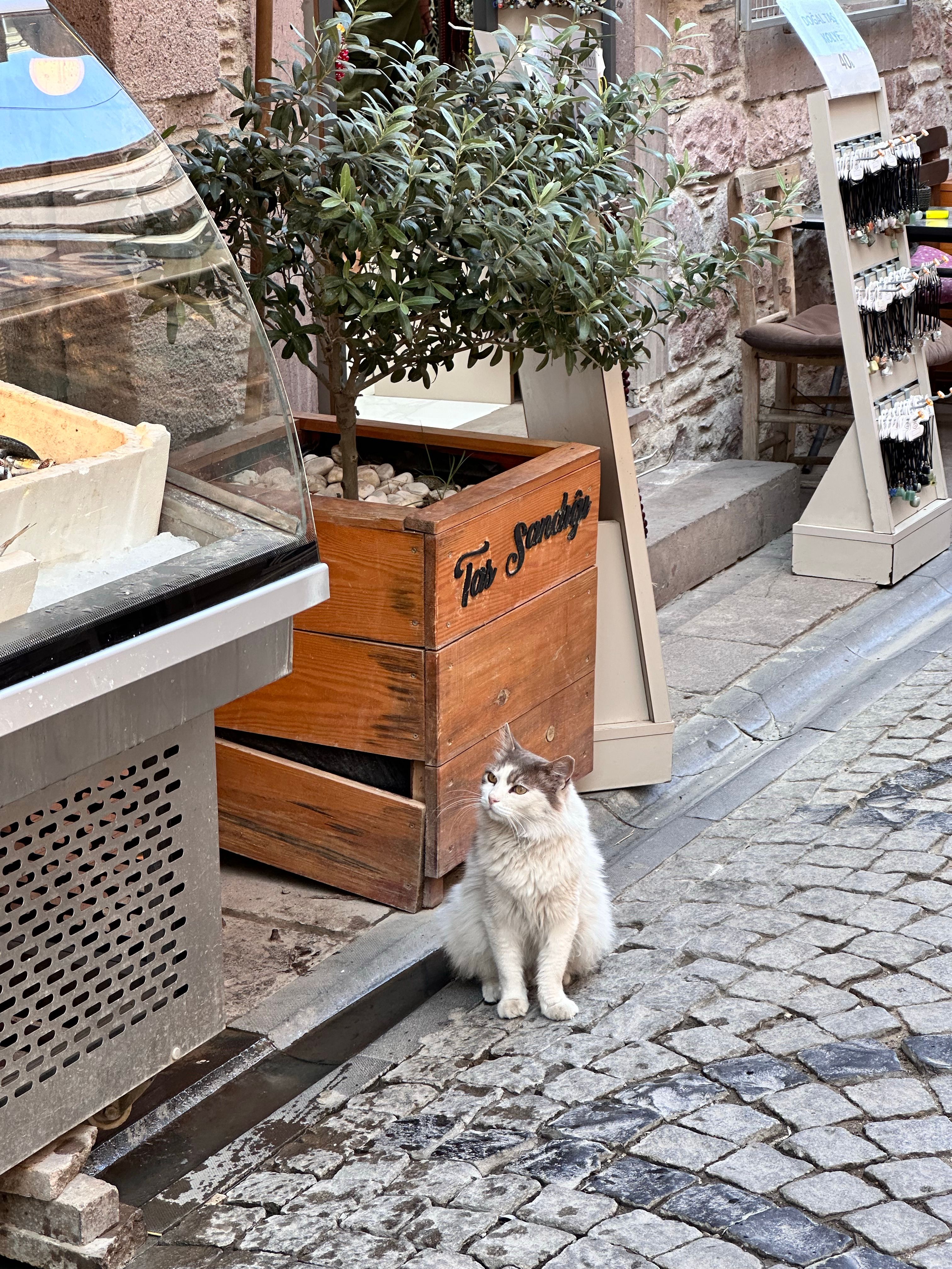 Many Passerby Photos, Download The BEST Free Many Passerby Stock Photos ...