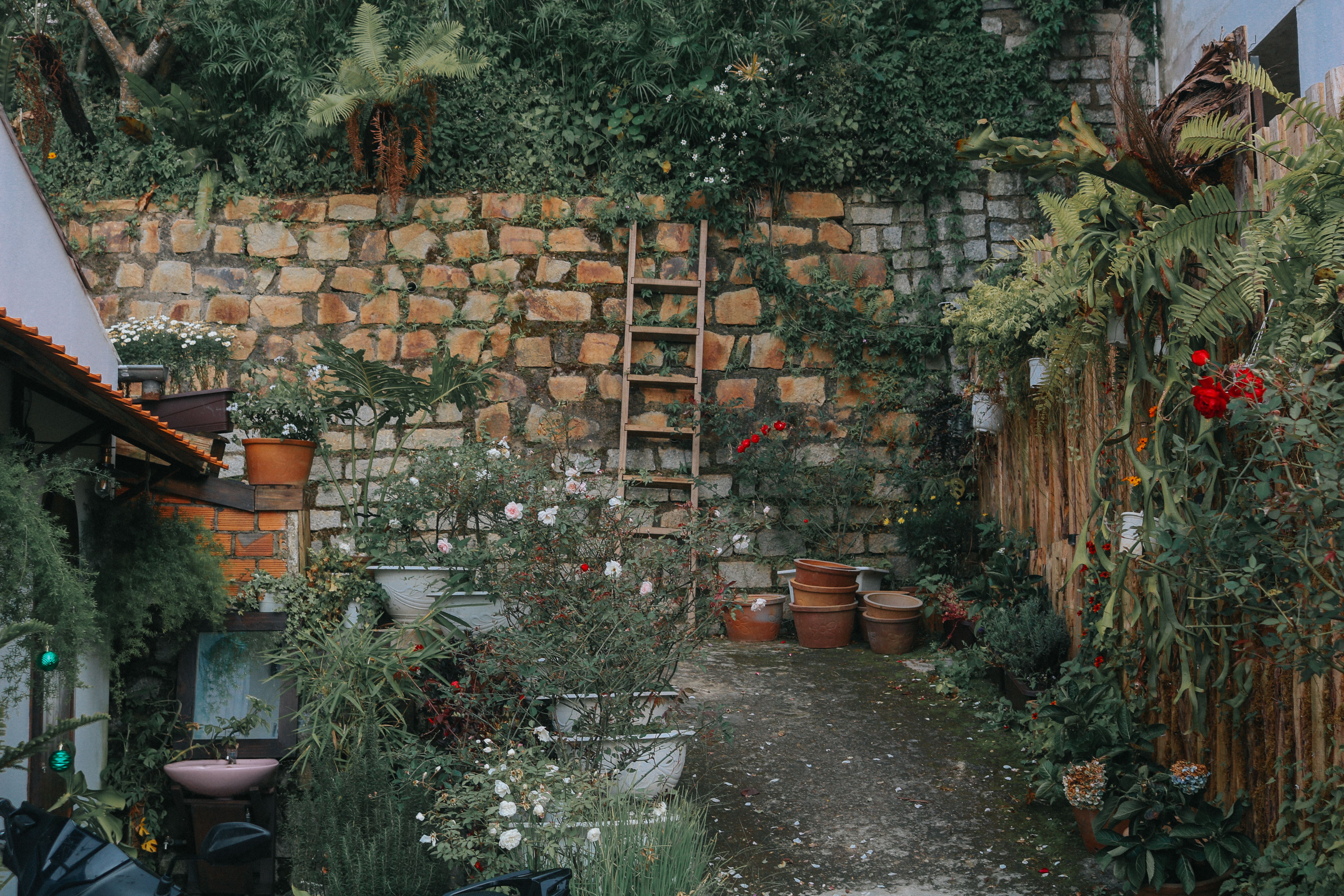 Garden Landscape Photos, Download The BEST Free Garden Landscape Stock ...