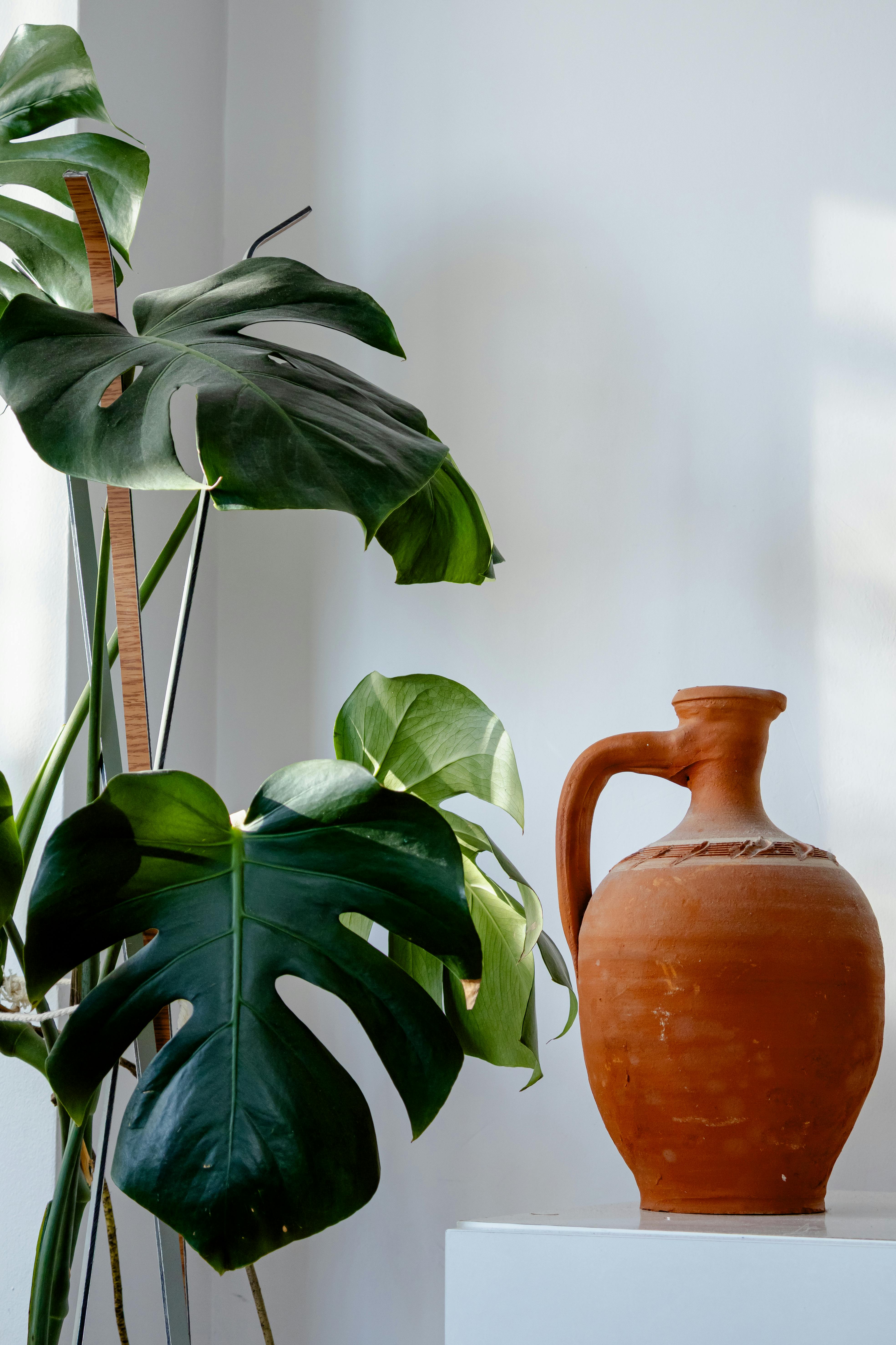 Envato Elements Photos, Download The BEST Free Envato Elements Stock ...