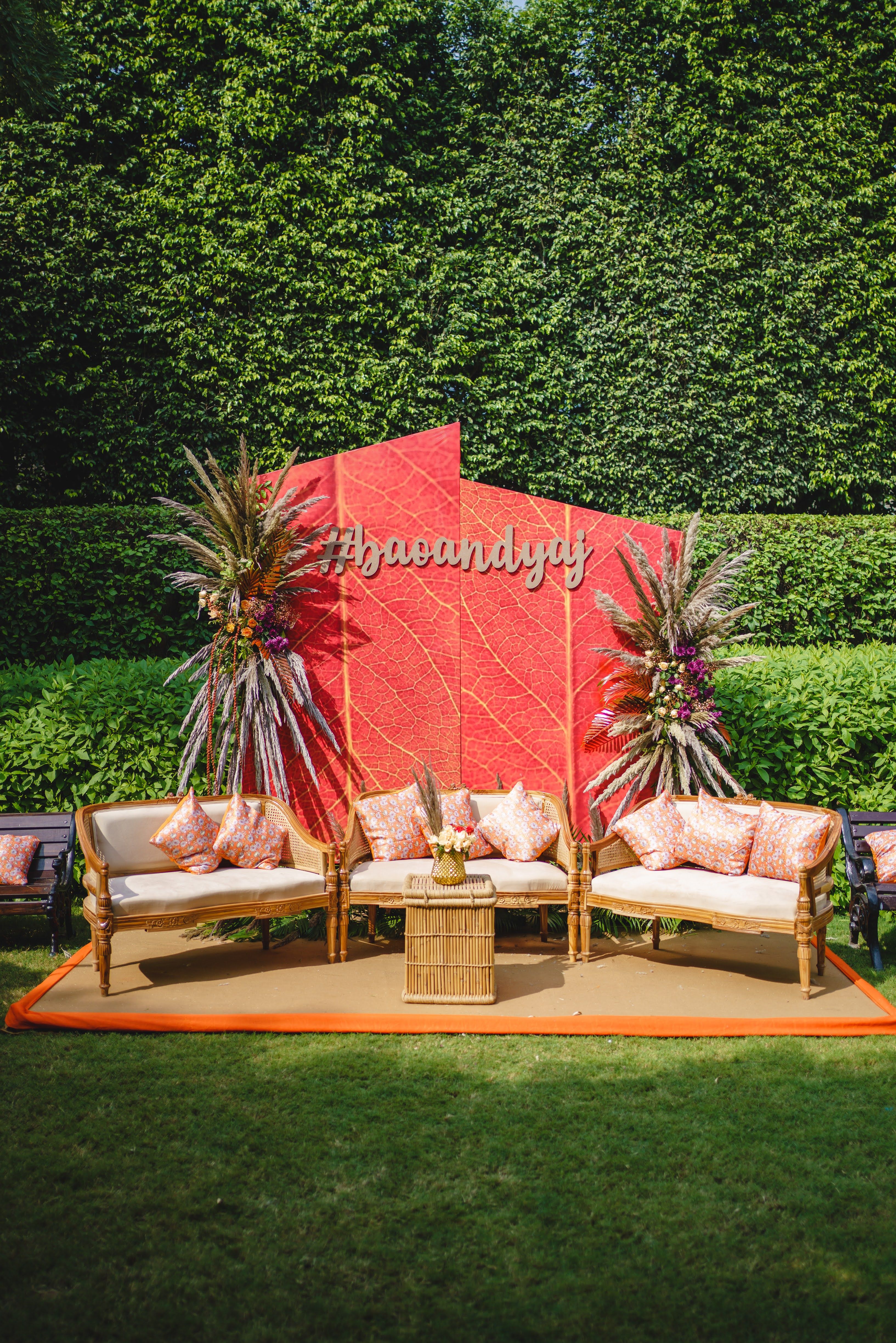 Plants Backdrop Photos, Download The BEST Free Plants Backdrop Stock ...