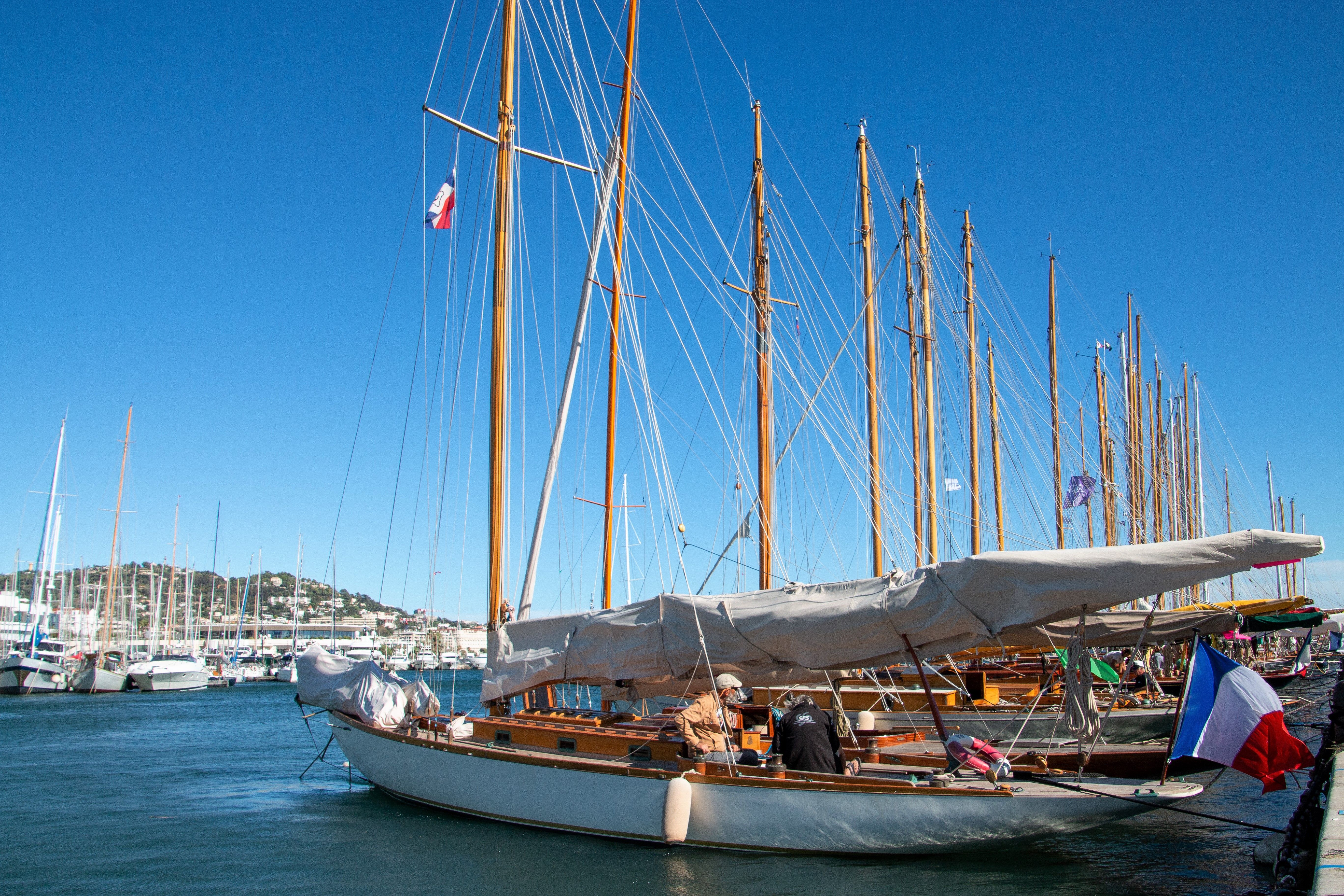 Sailing Boats Docked in French Marina Under Clear Skies · Free Stock Photo