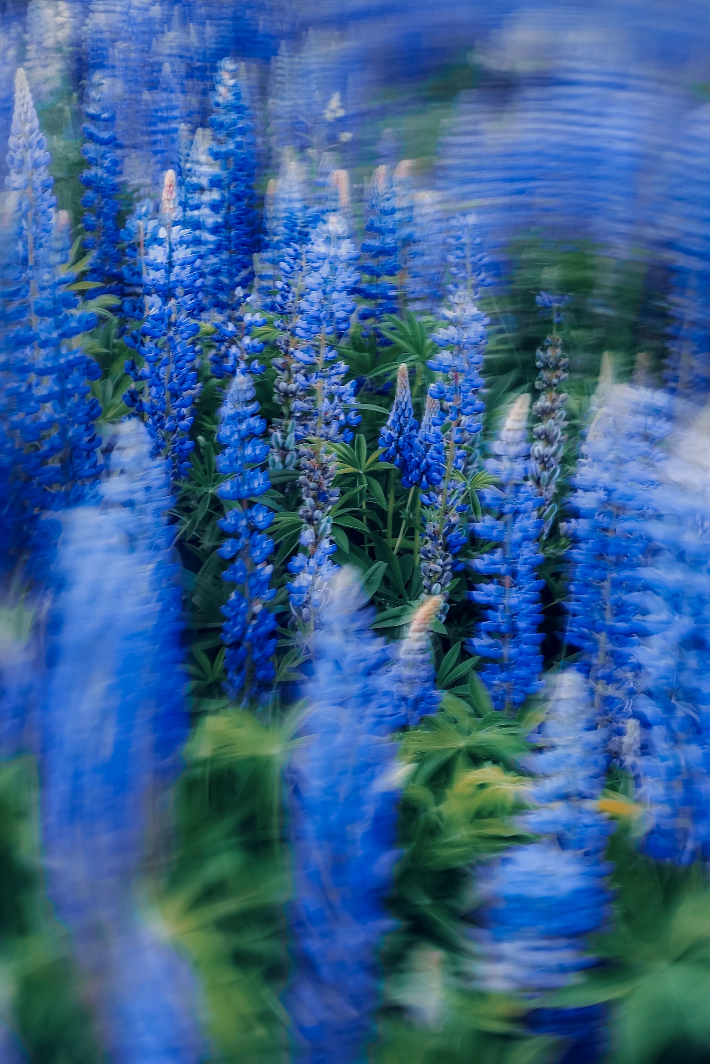 Dreamy Photos, Download The BEST Free Dreamy Stock Photos & HD Images