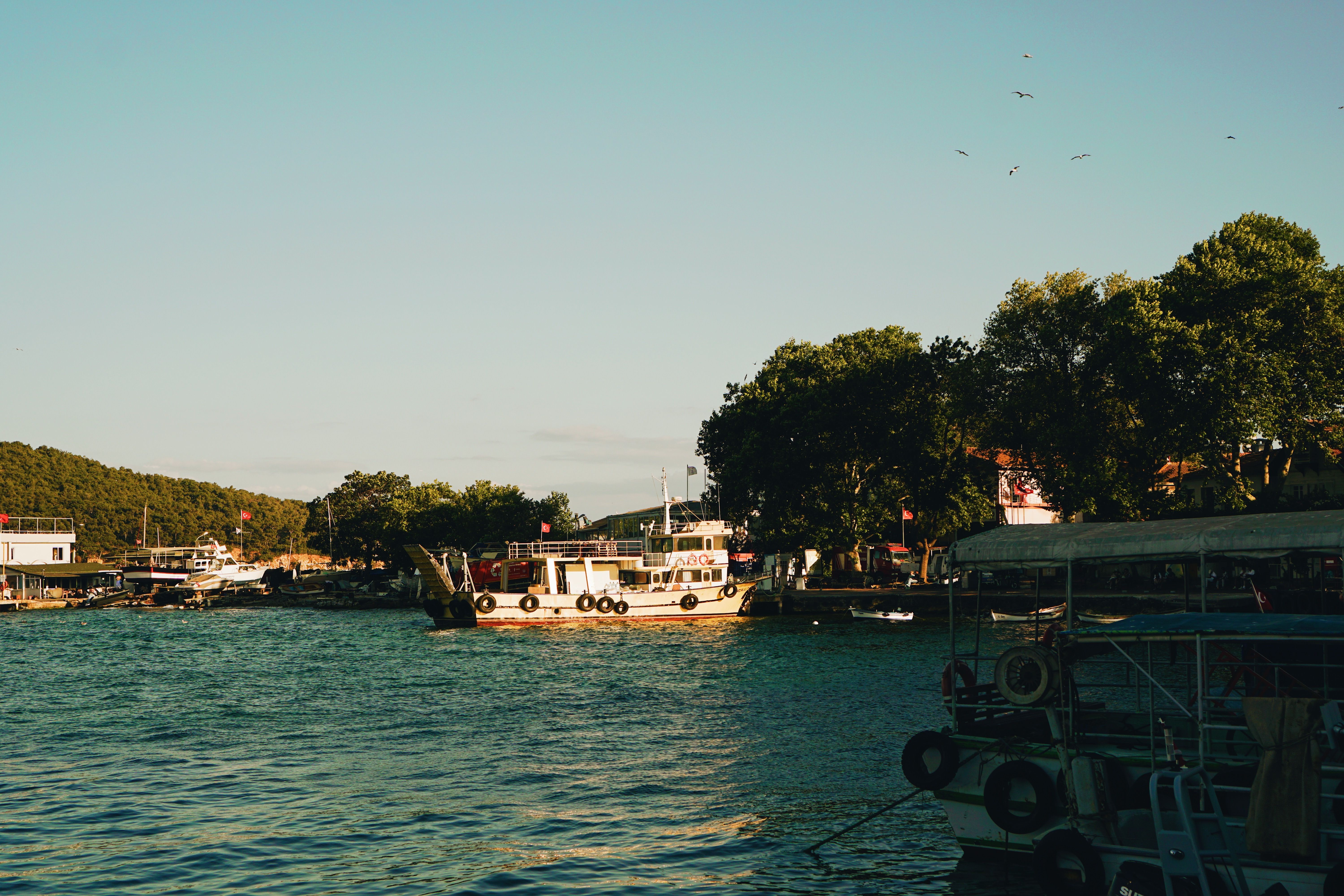 Scenic Waterfront with Boats at Sunset · Free Stock Photo