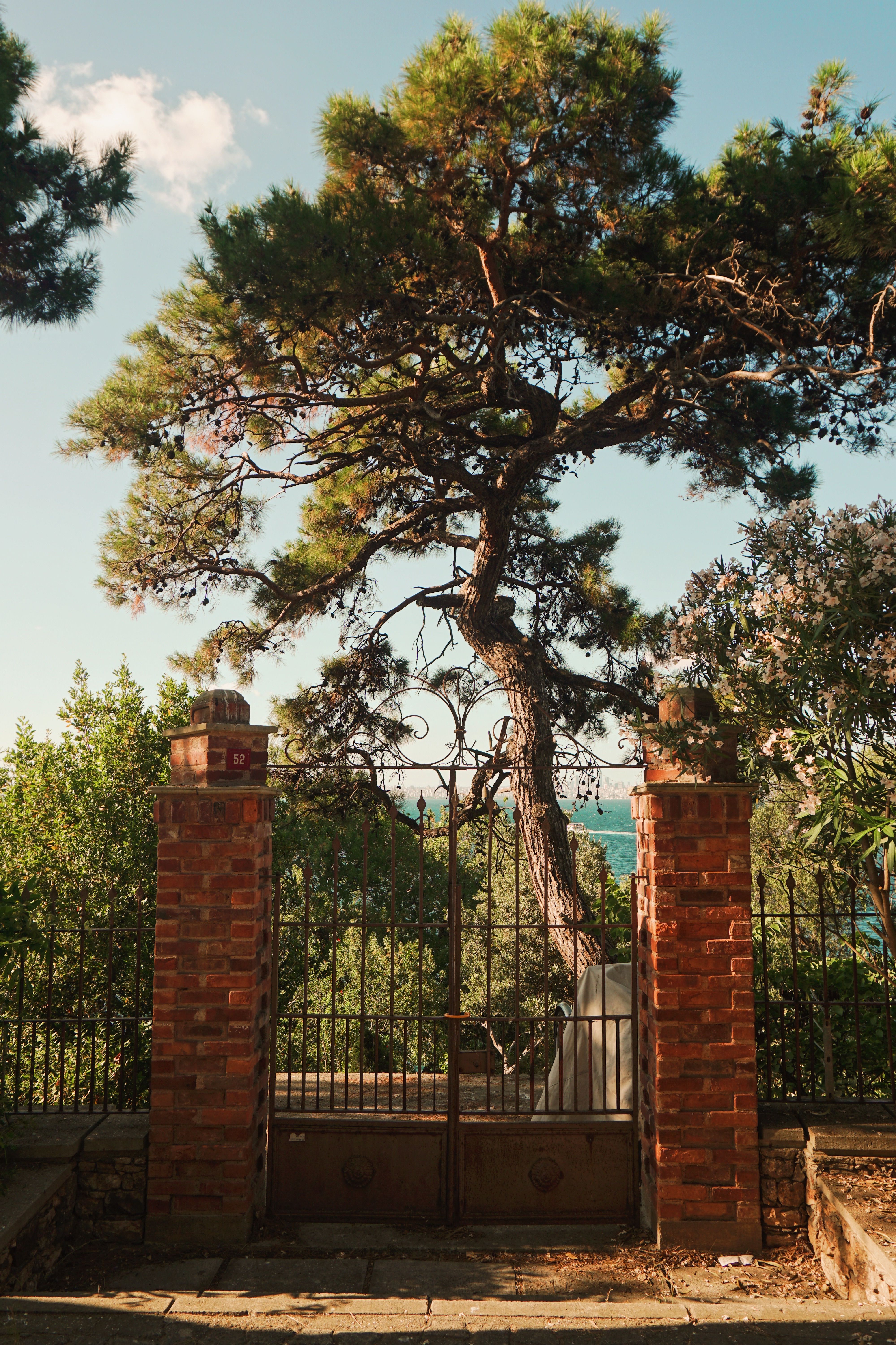 Rustic Gate Leading to Scenic Forest View · Free Stock Photo