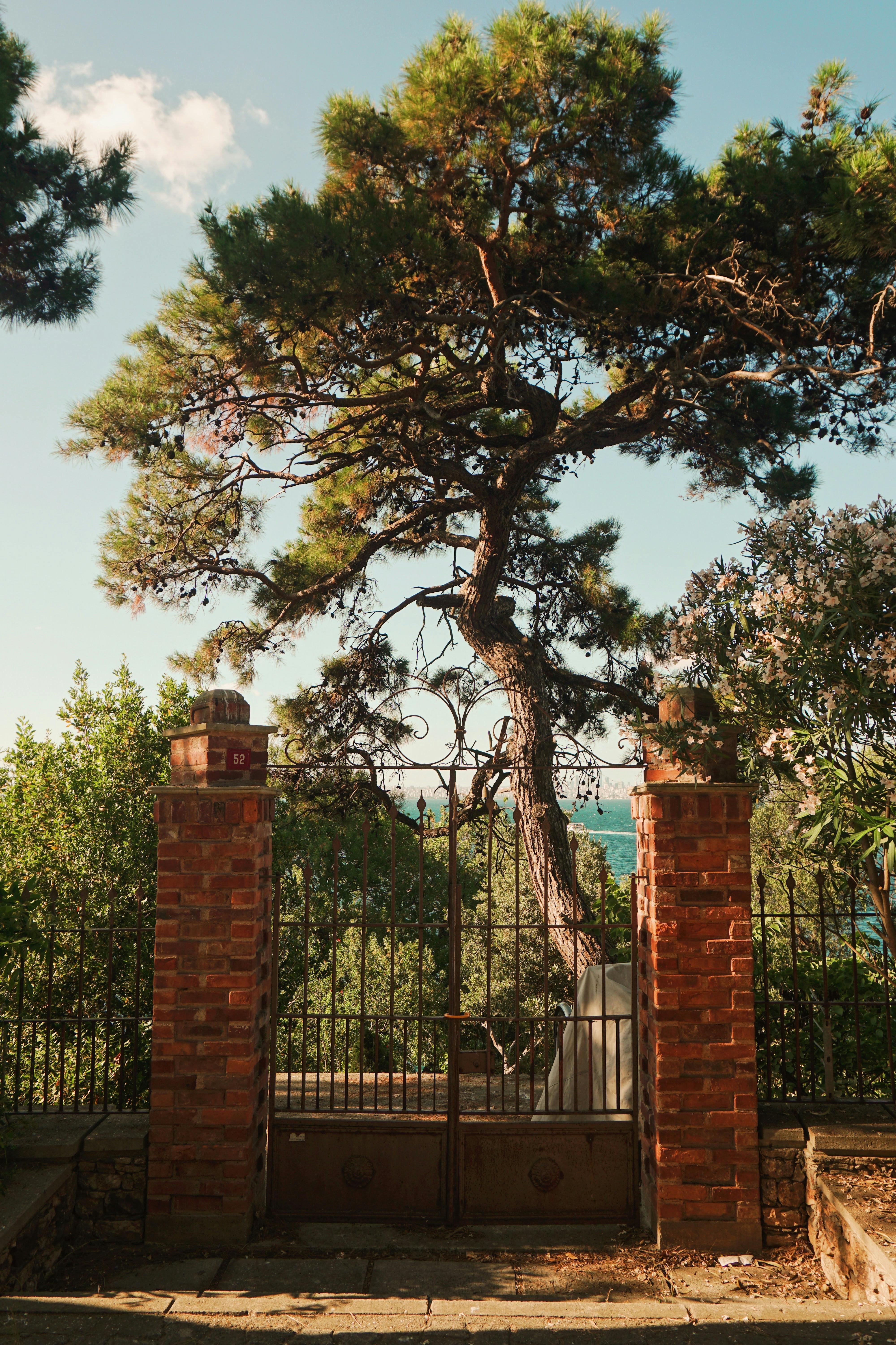 Classic Environment Photos, Download The BEST Free Classic Environment ...