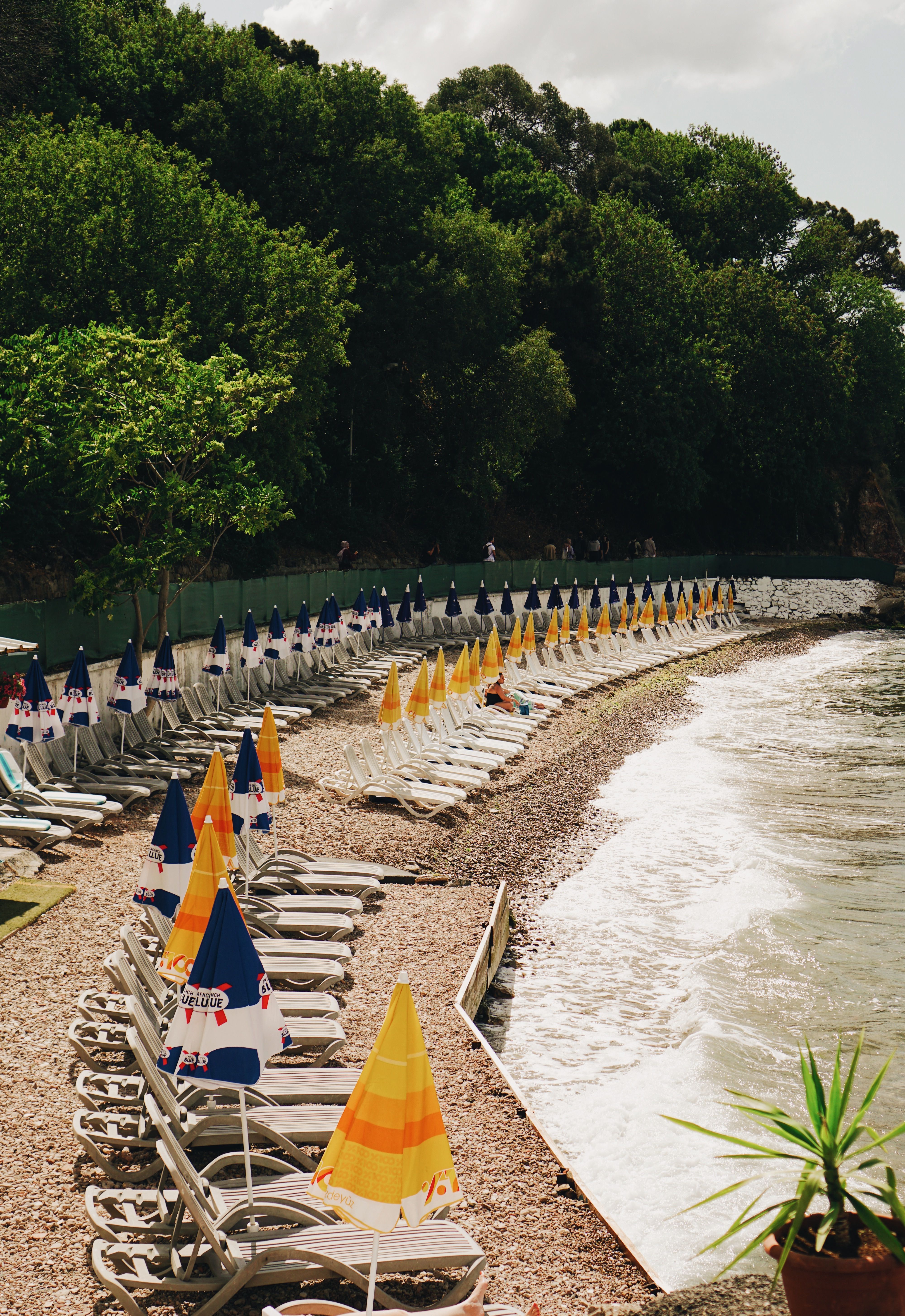 Scenic Beachfront with Colorful Umbrellas and Loungers · Free Stock Photo