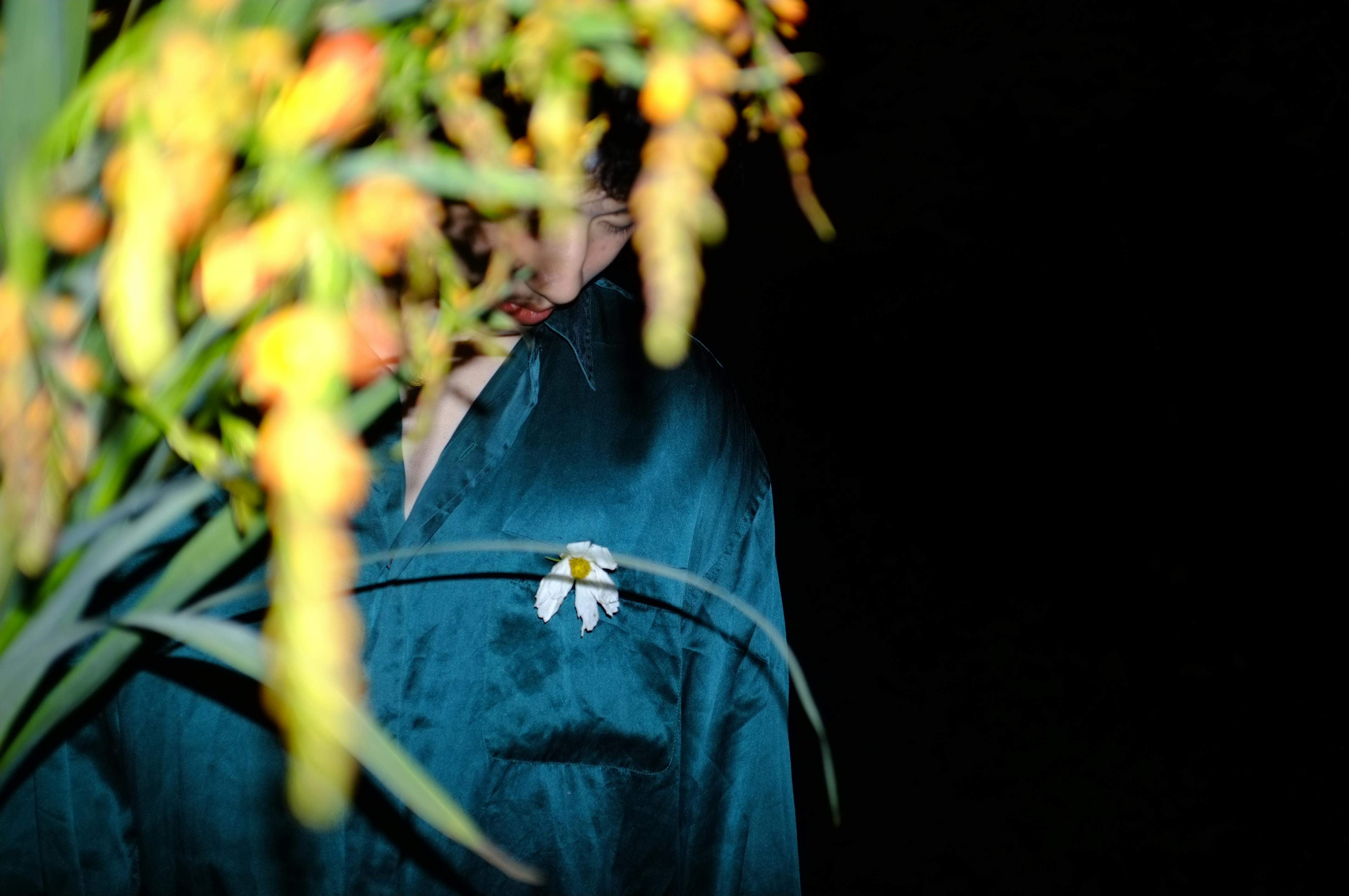 Background Flower At Night Photos, Download The BEST Free Background ...