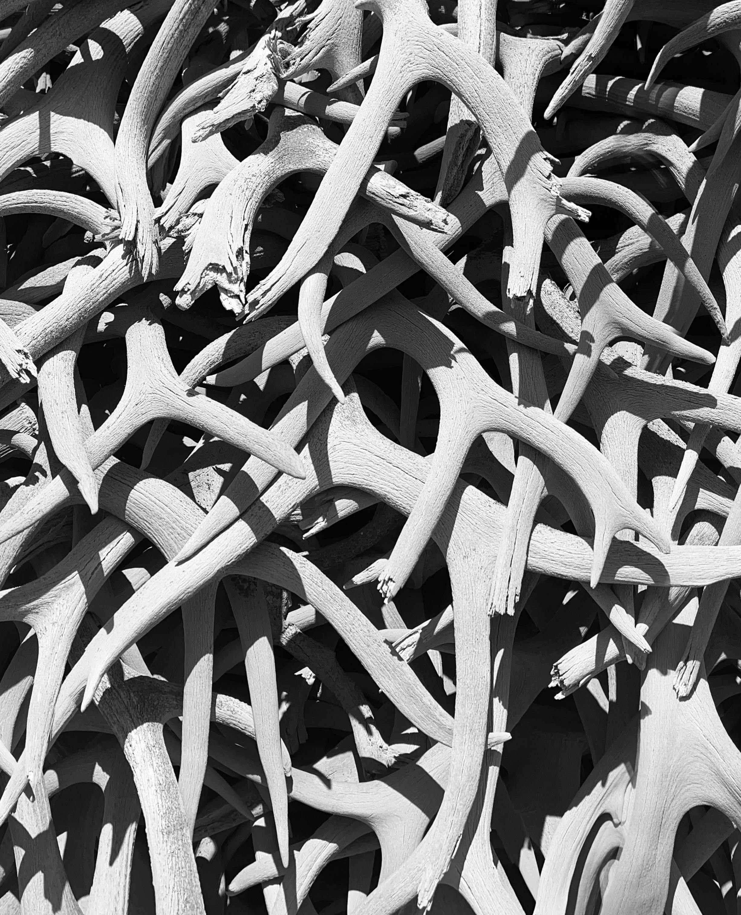 Heather Smith - Photography