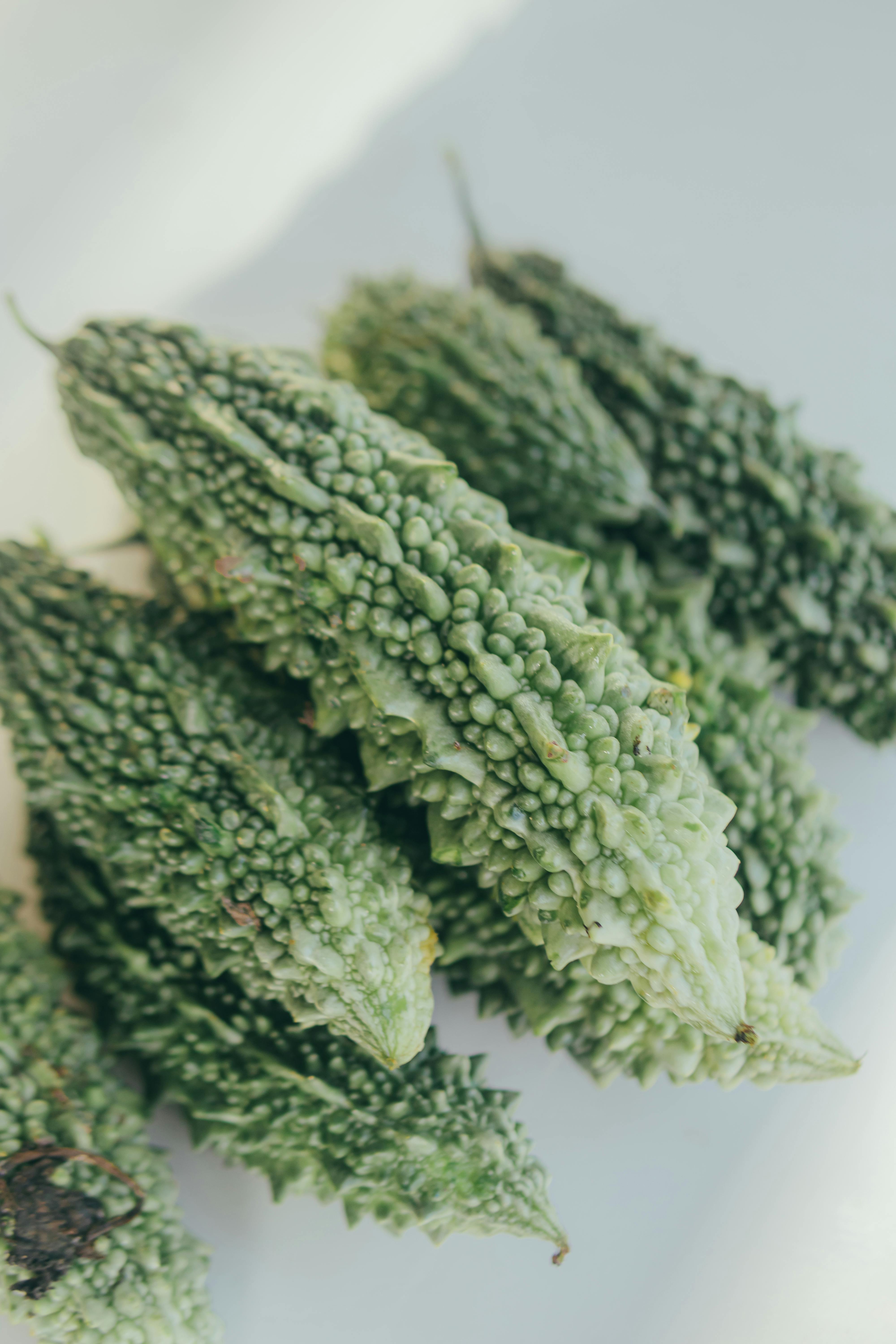 Bumpy Texture Photos, Download The BEST Free Bumpy Texture Stock Photos ...