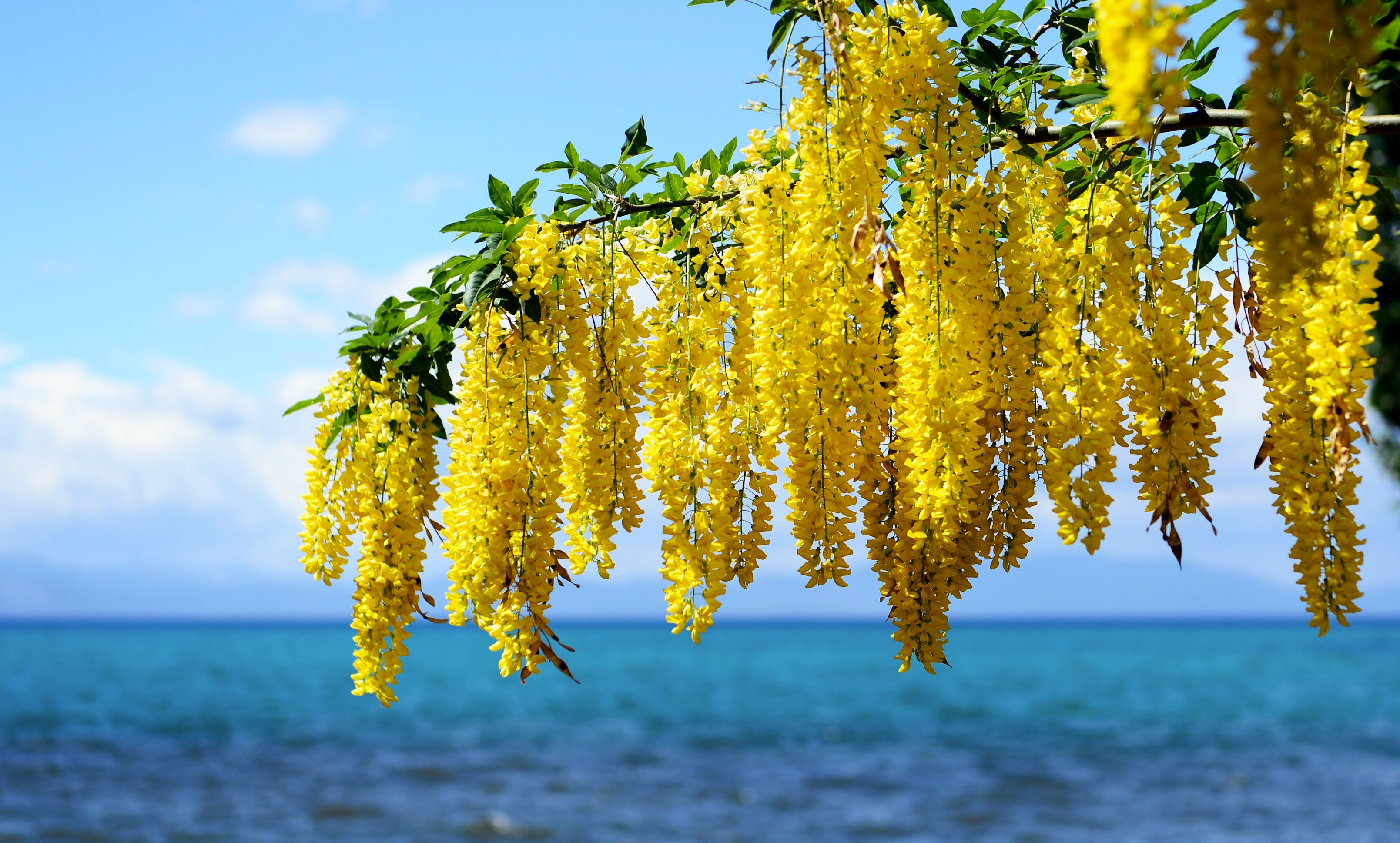 Botany Photos, Download The BEST Free Botany Stock Photos & HD Images