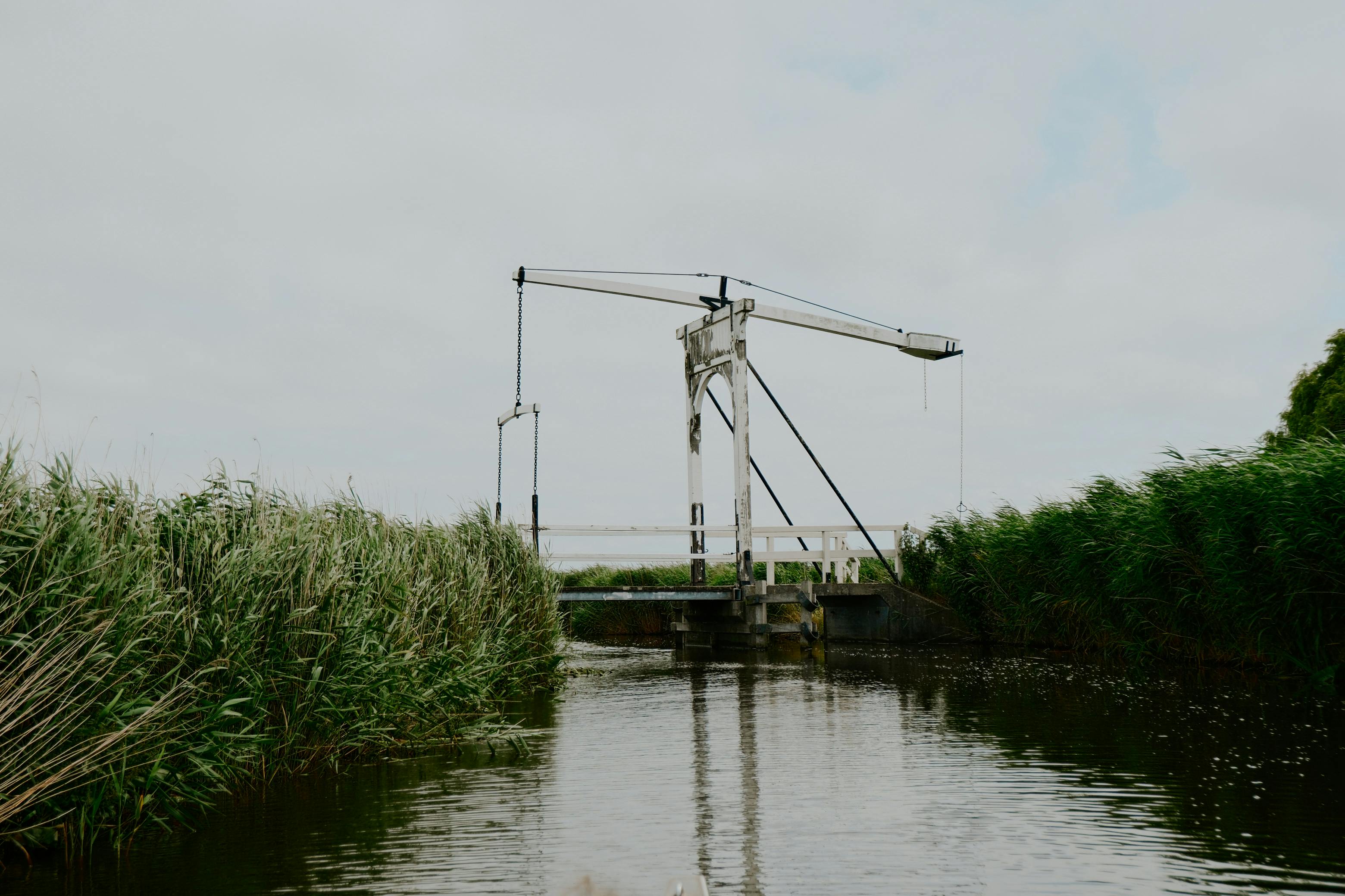 Marvel+Rivals+Thumbnail Photos, Download The BEST Free Marvel+Rivals ...