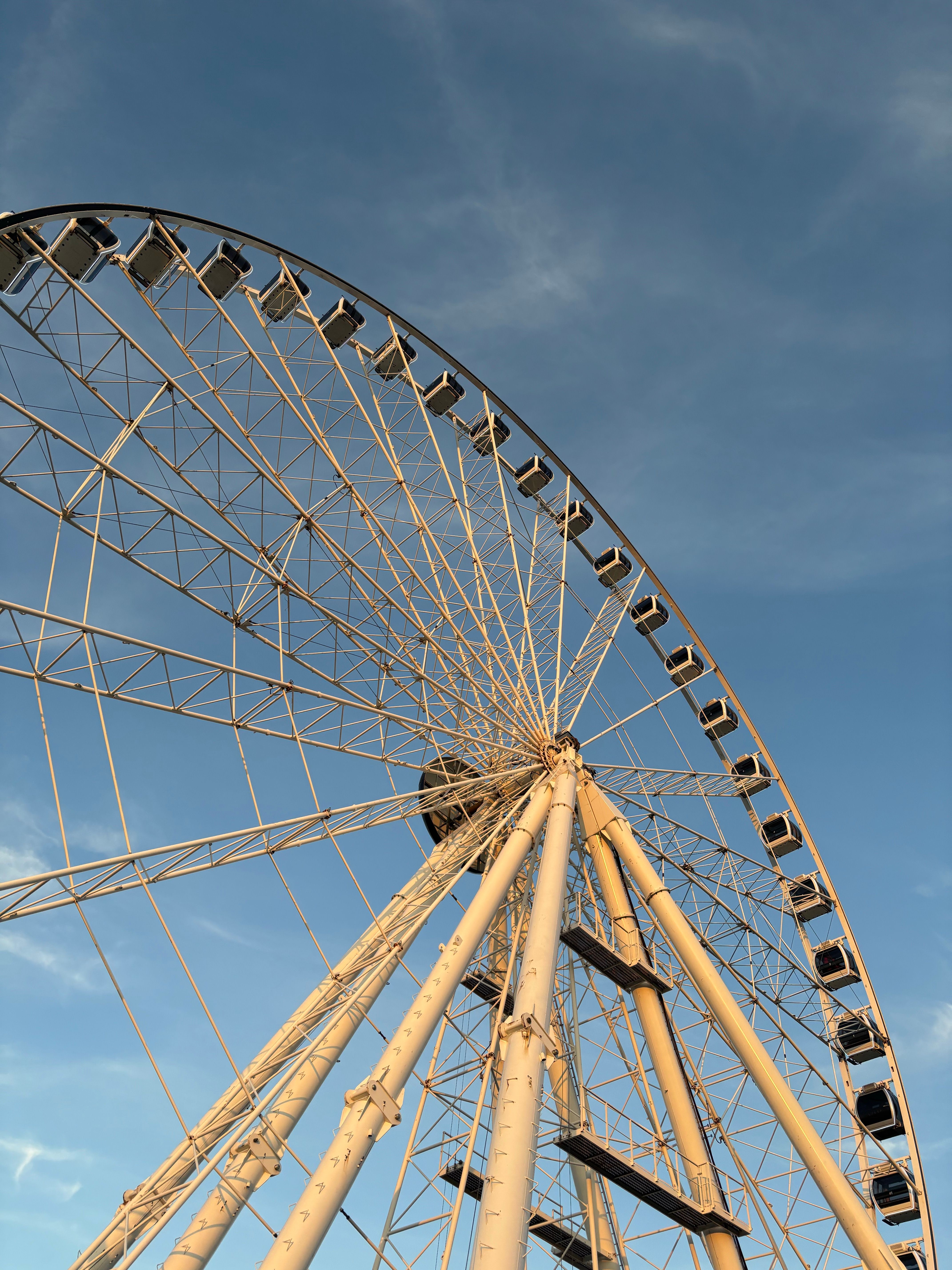 Giant Photos, Download The BEST Free Giant Stock Photos & HD Images