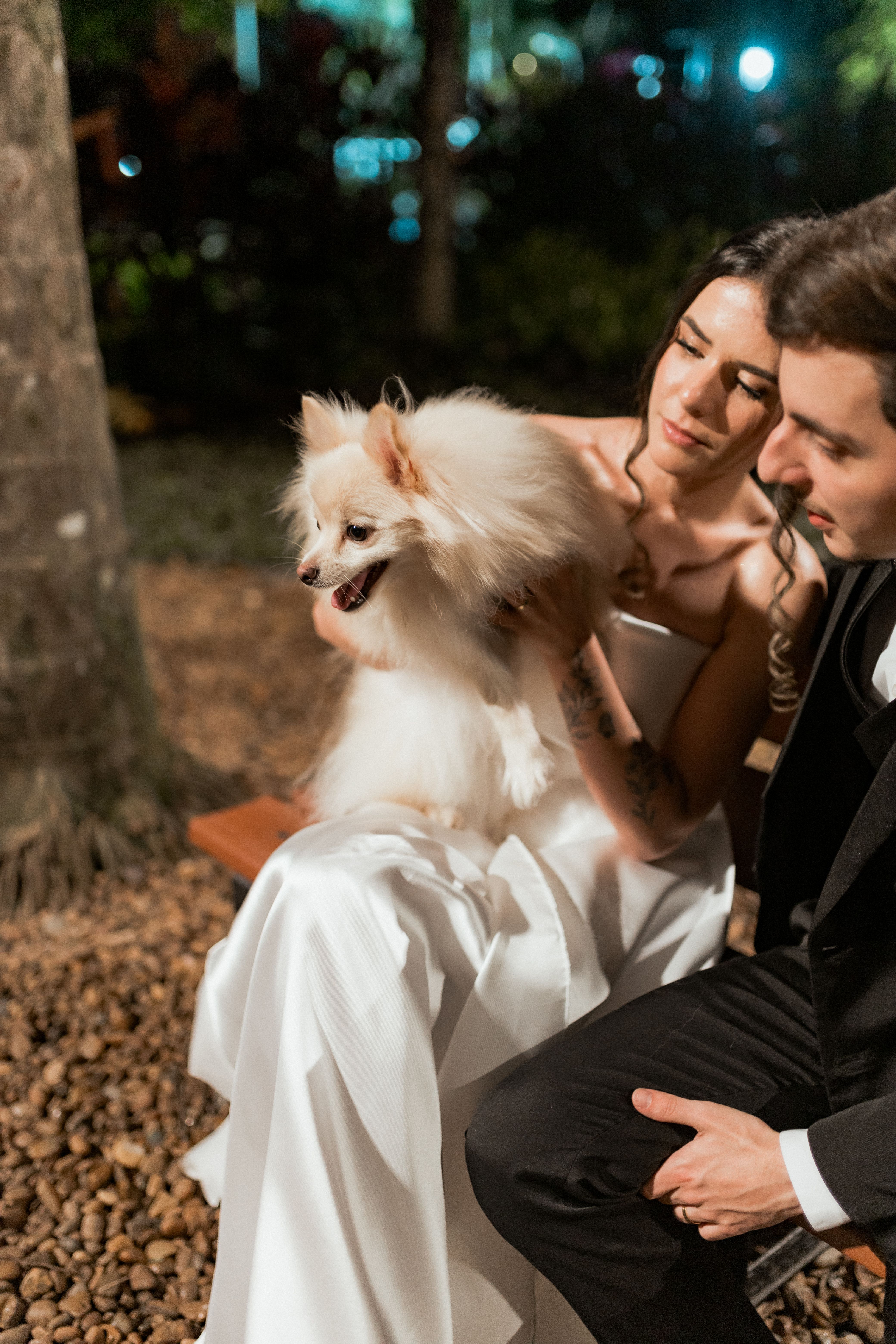 Wedding Couple with Pomeranian at Night · Free Stock Photo