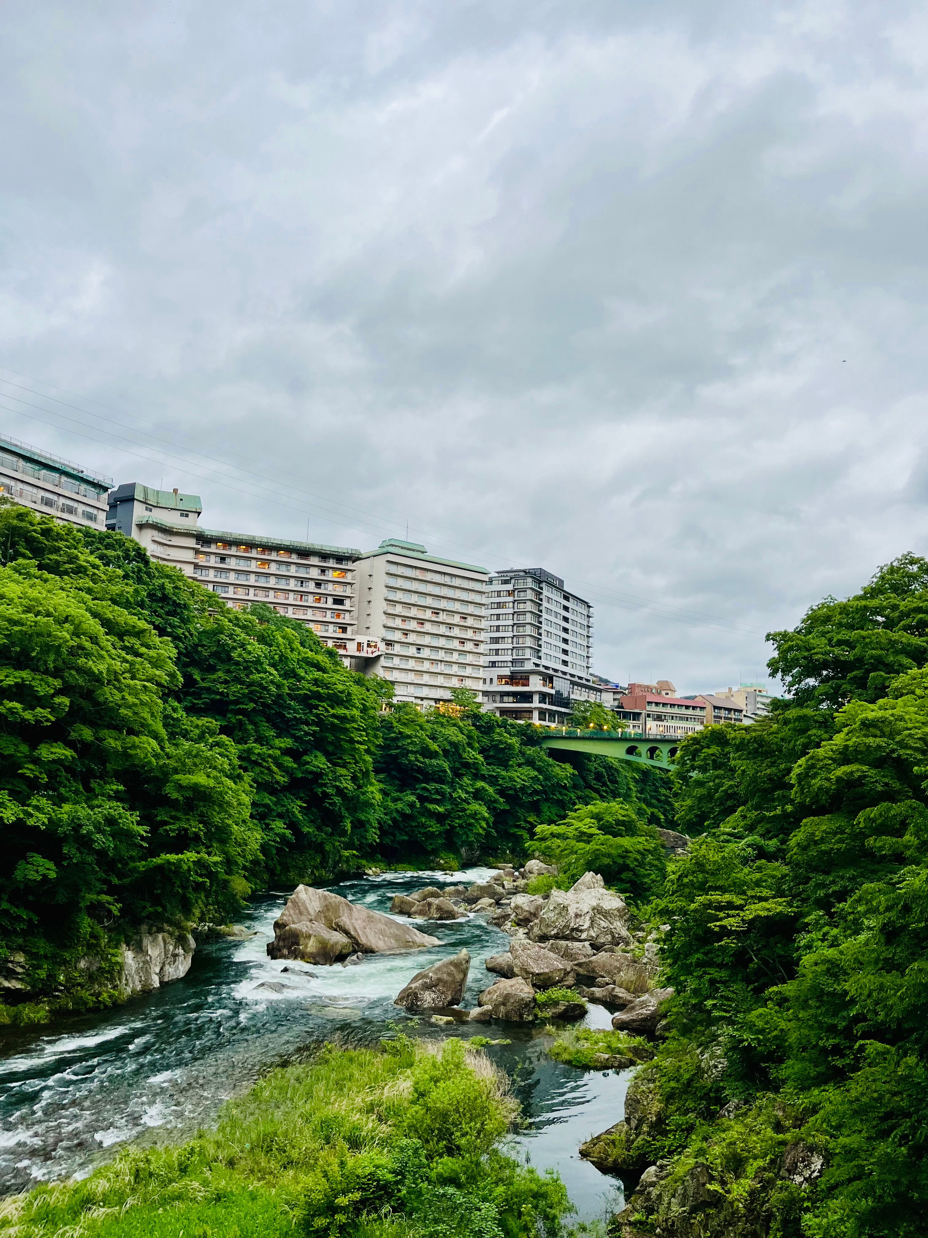 Japan Forests Photos, Download The BEST Free Japan Forests Stock Photos ...