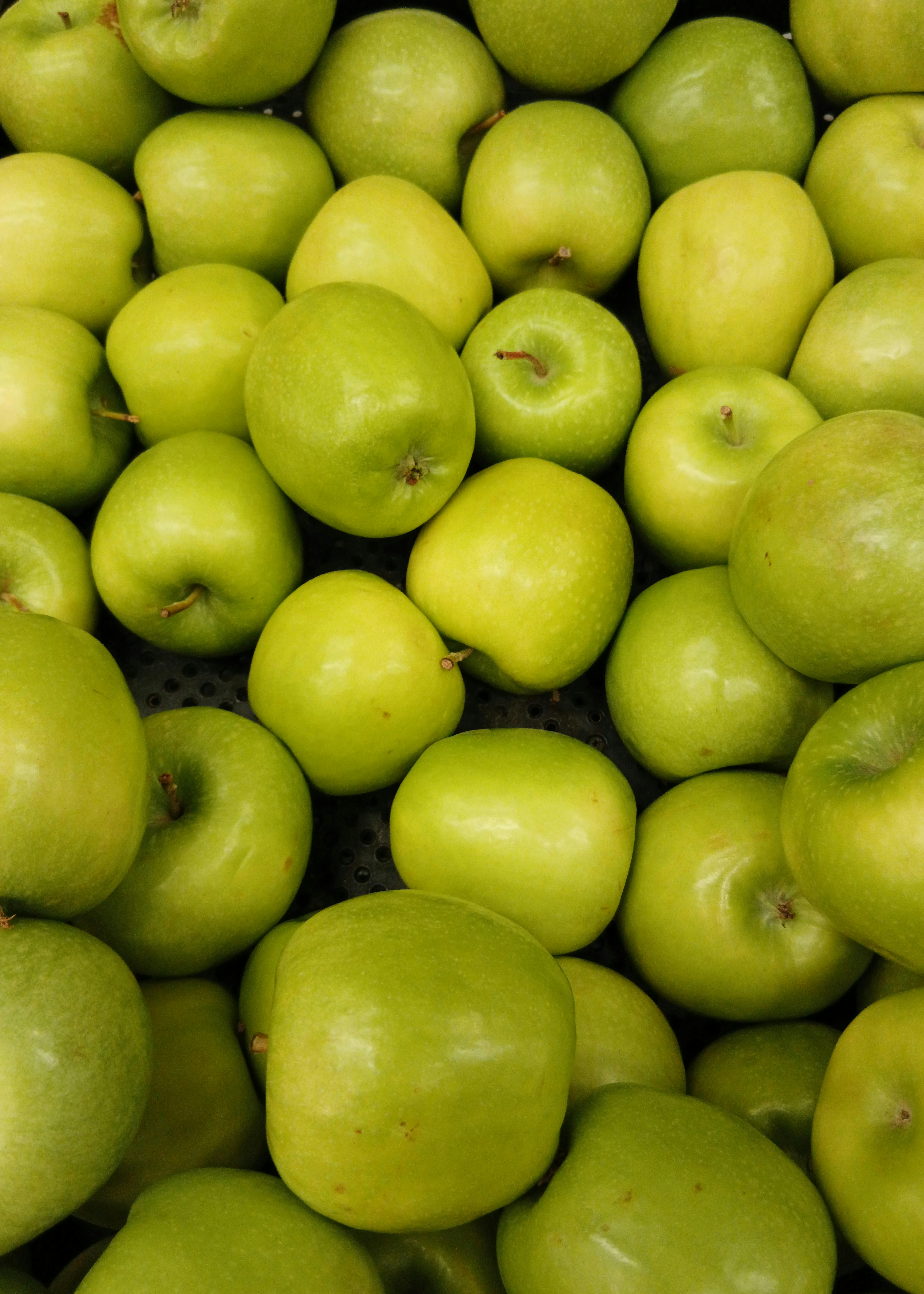 Green Apple Lot · Free Stock Photo