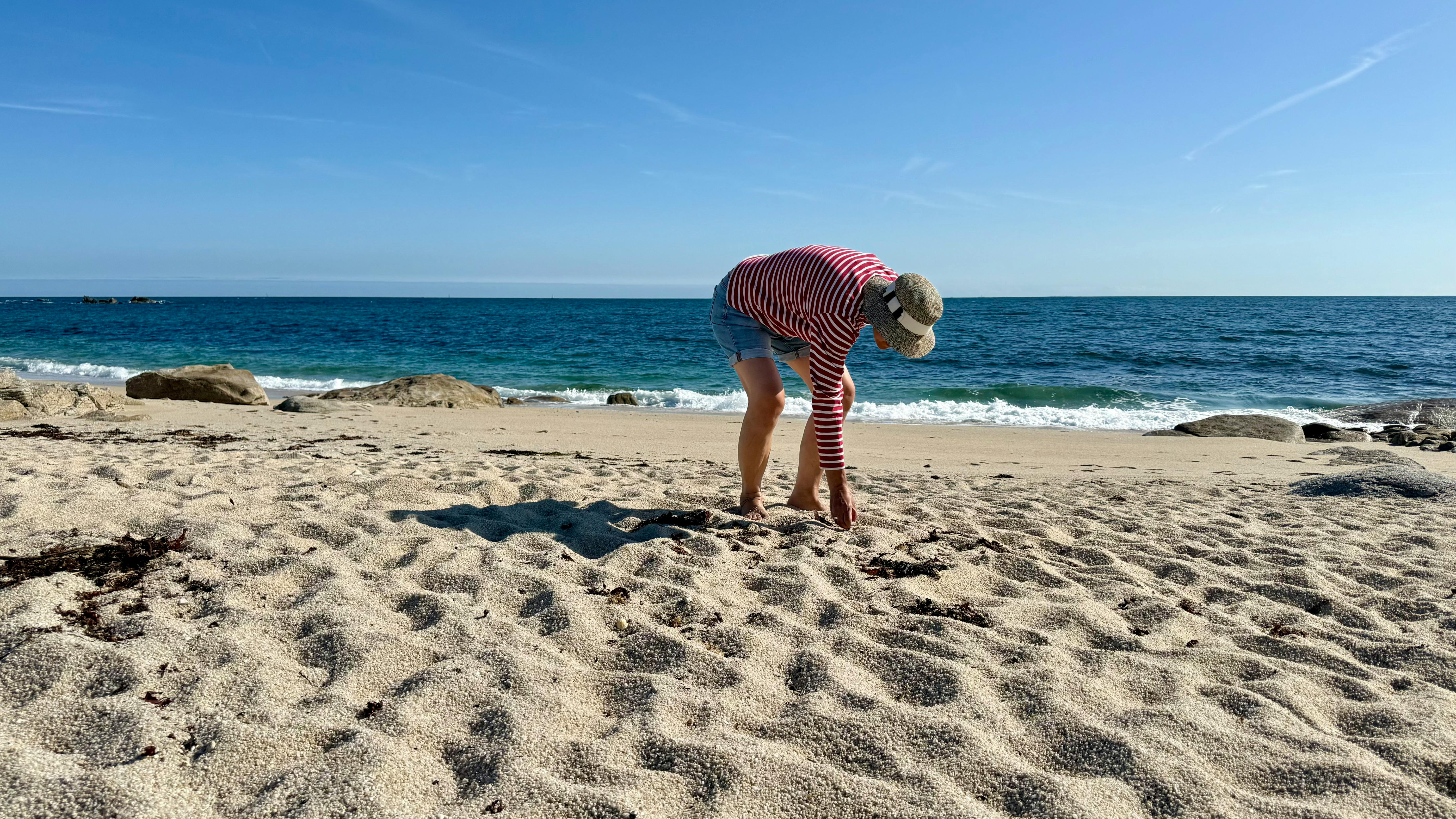 Woman Collecting Shells on a Sunny Beach · Free Stock Photo