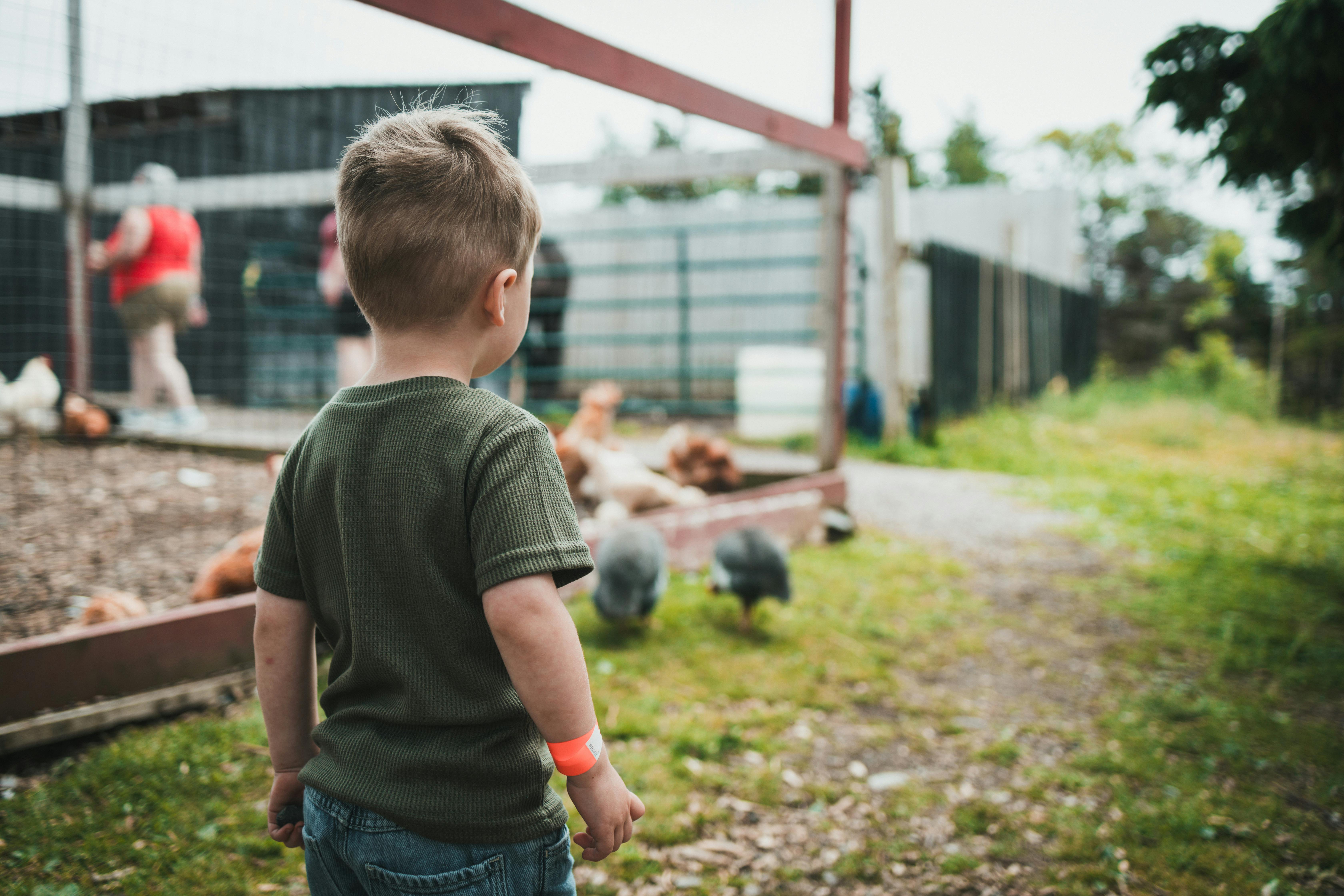 Curiosity Children Photos, Download The BEST Free Curiosity Children ...