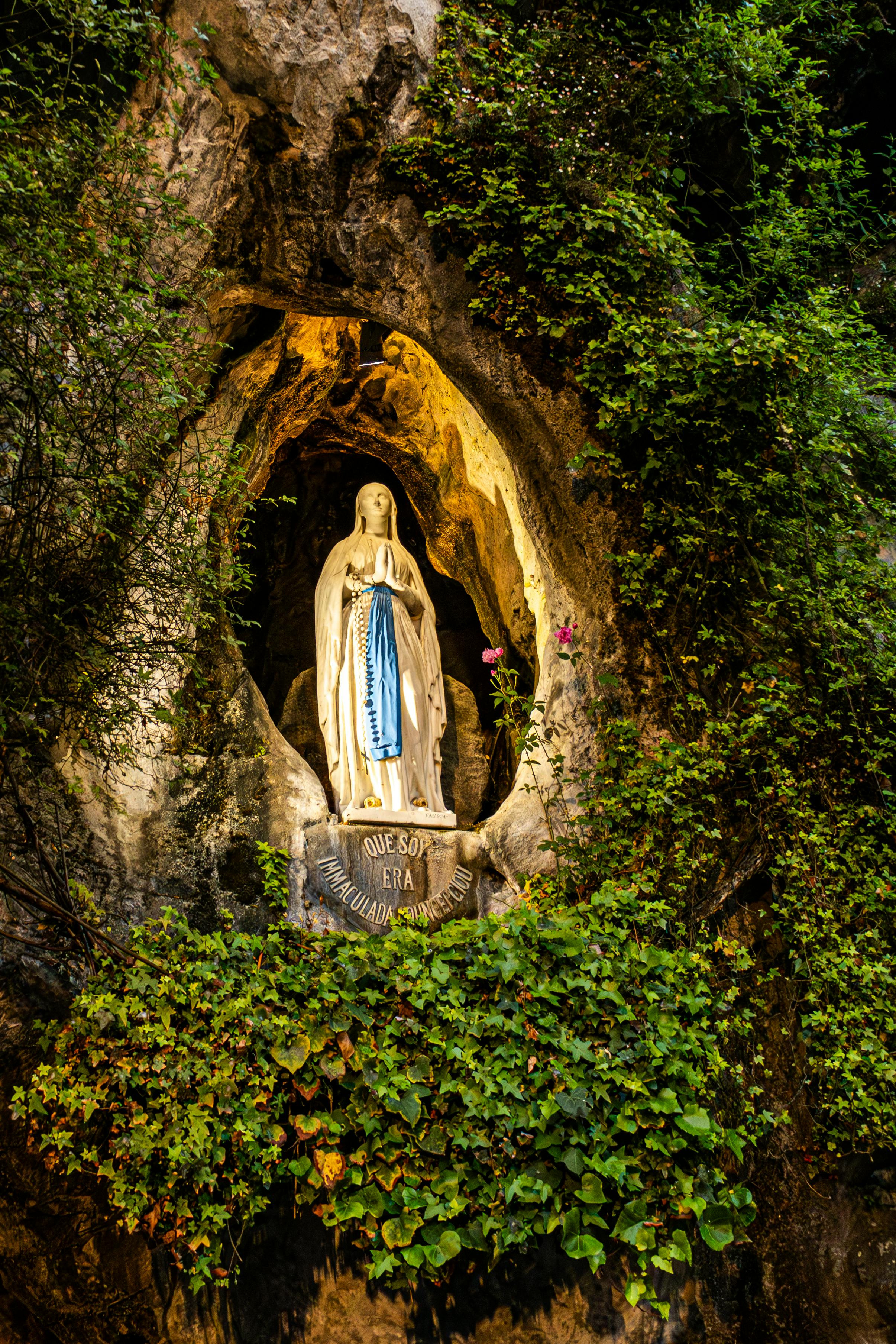 Ana Maria Markovic Photos, Download The BEST Free Ana Maria Markovic ...