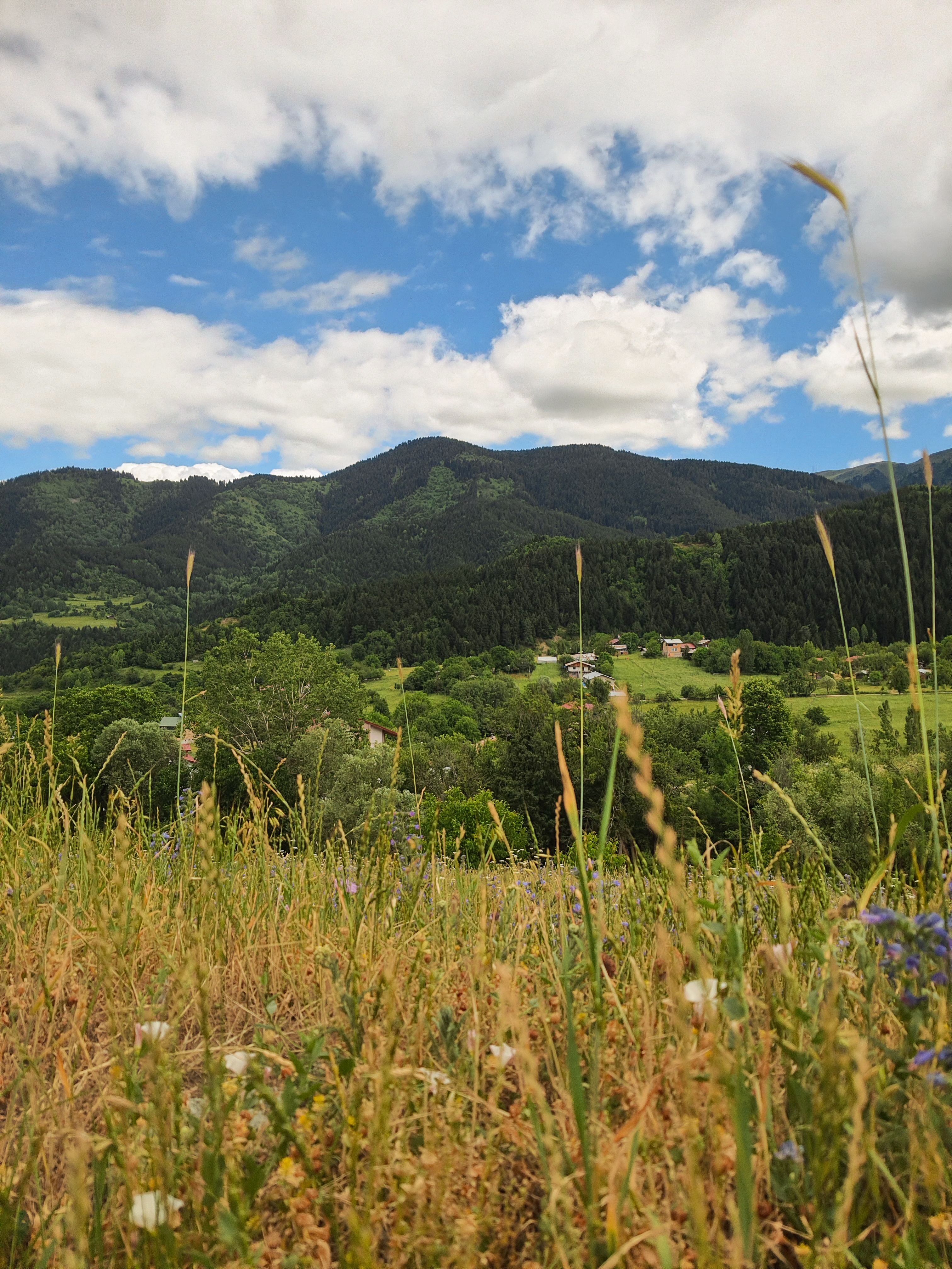 Qinngua Valley Photos, Download The BEST Free Qinngua Valley Stock ...