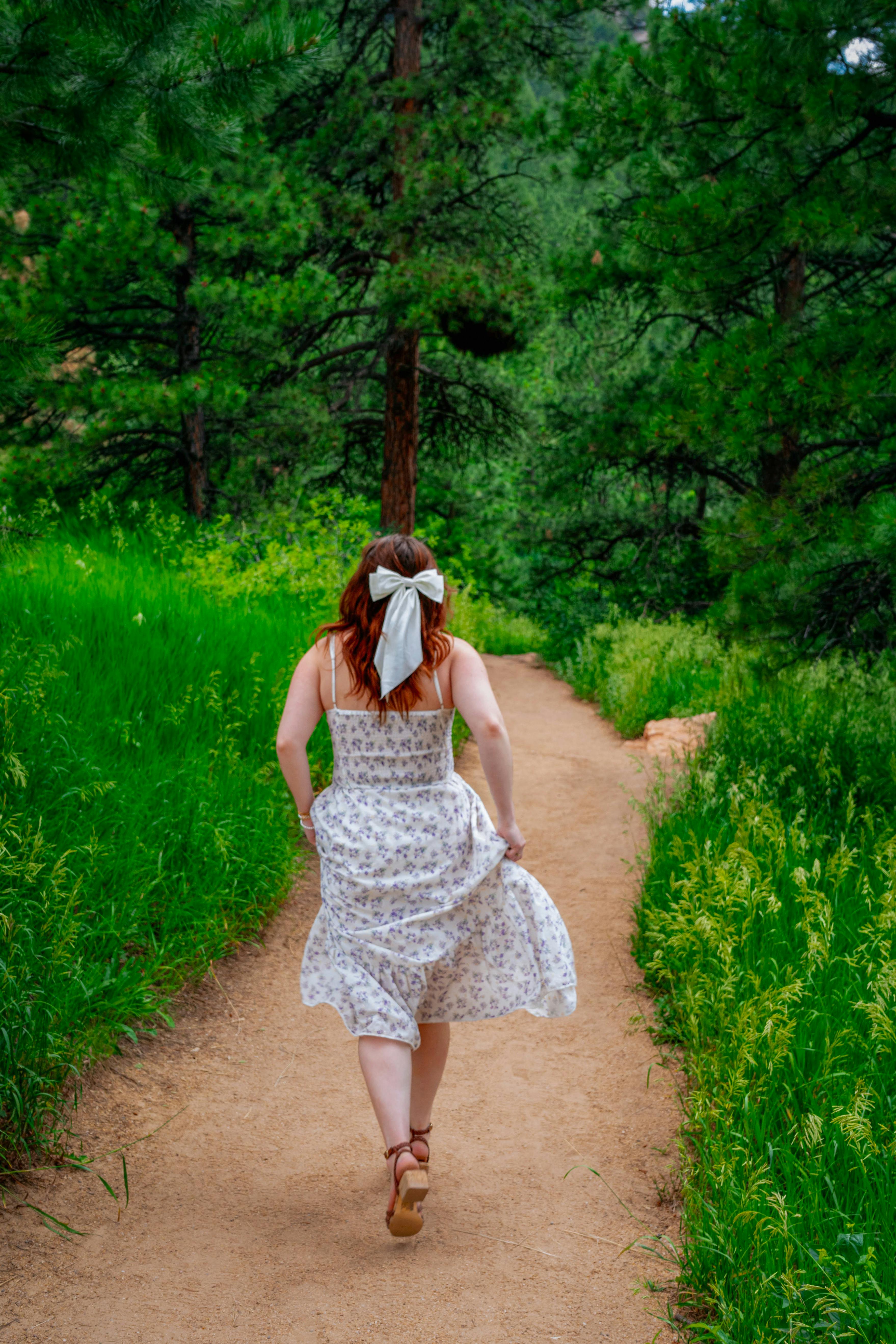 Forest Strolling Photos, Download The BEST Free Forest Strolling Stock ...