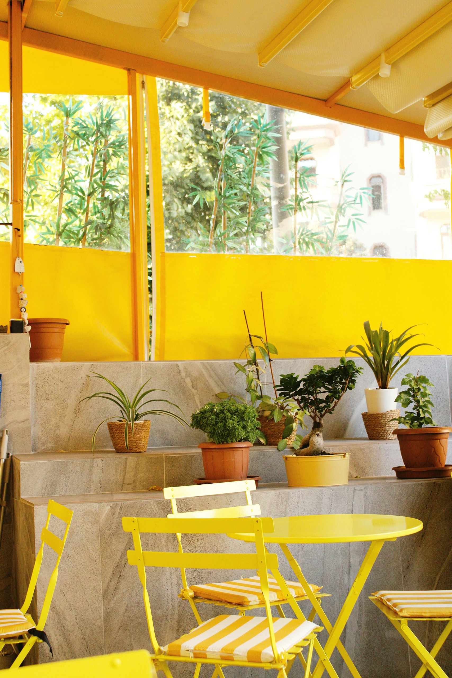 Yellow Cafe Photos, Download The BEST Free Yellow Cafe Stock Photos ...