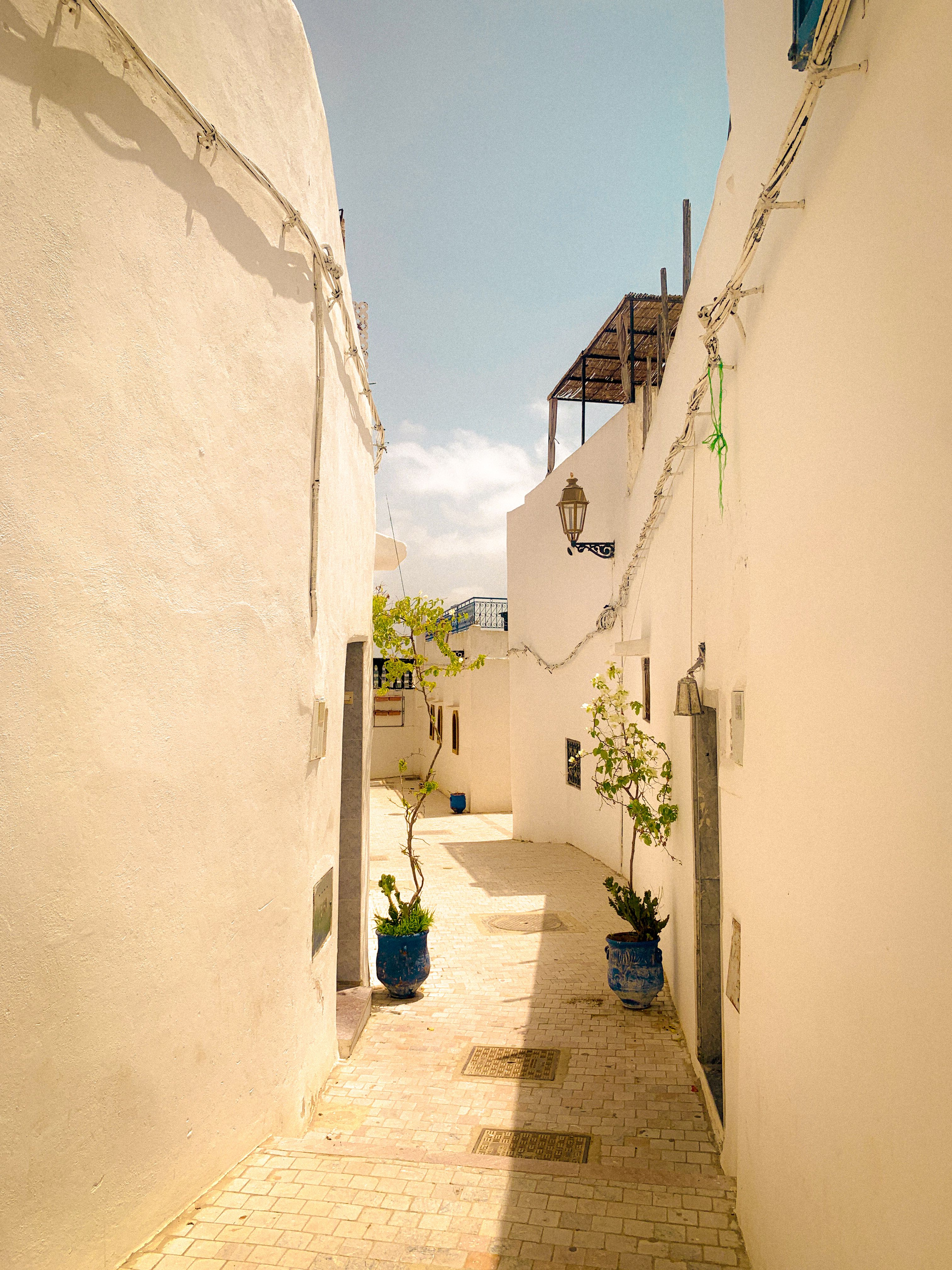 Charming Moroccan Street in Rabat · Free Stock Photo