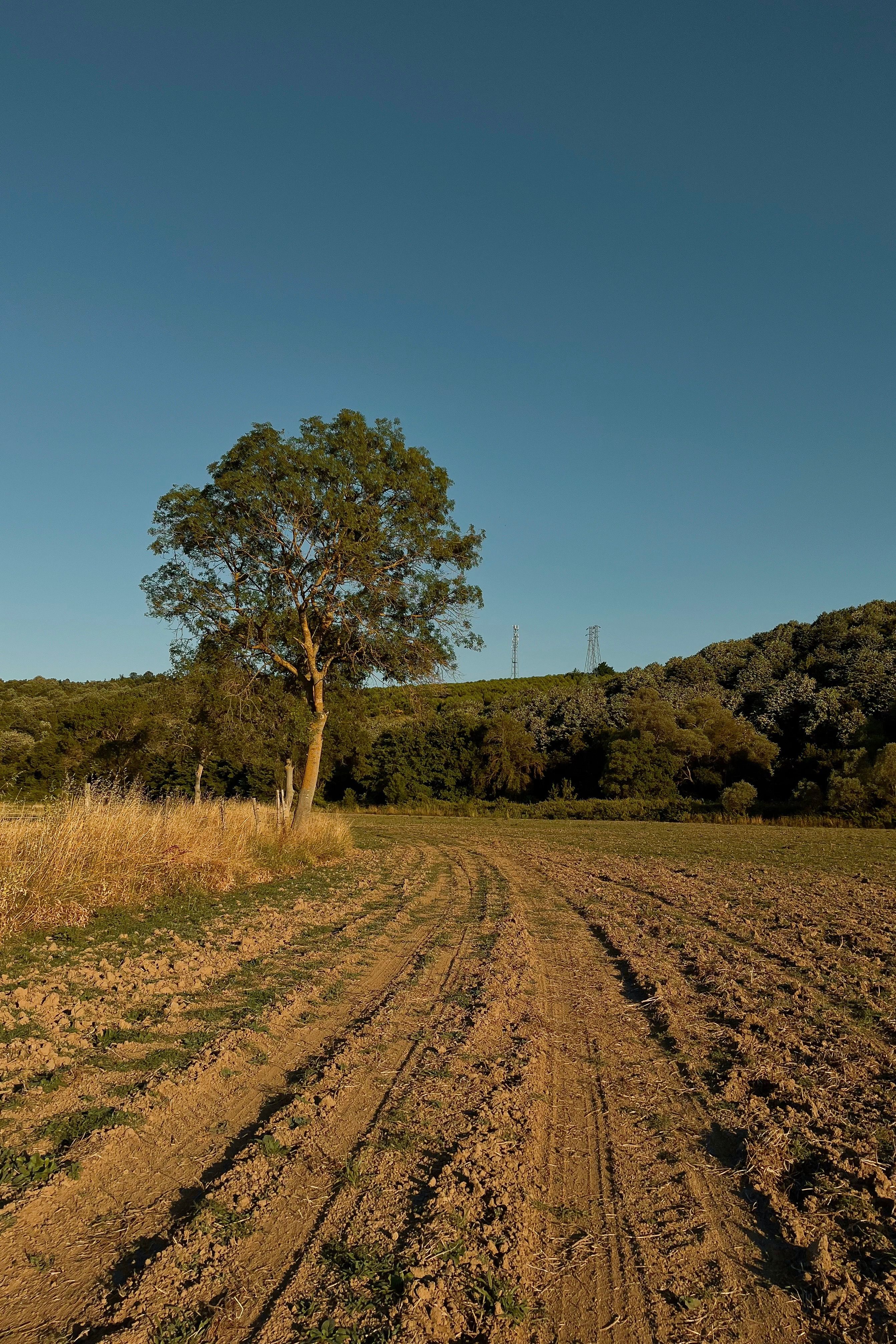 Scenic Dusty Road Through Countryside in İstanbul · Free Stock Photo