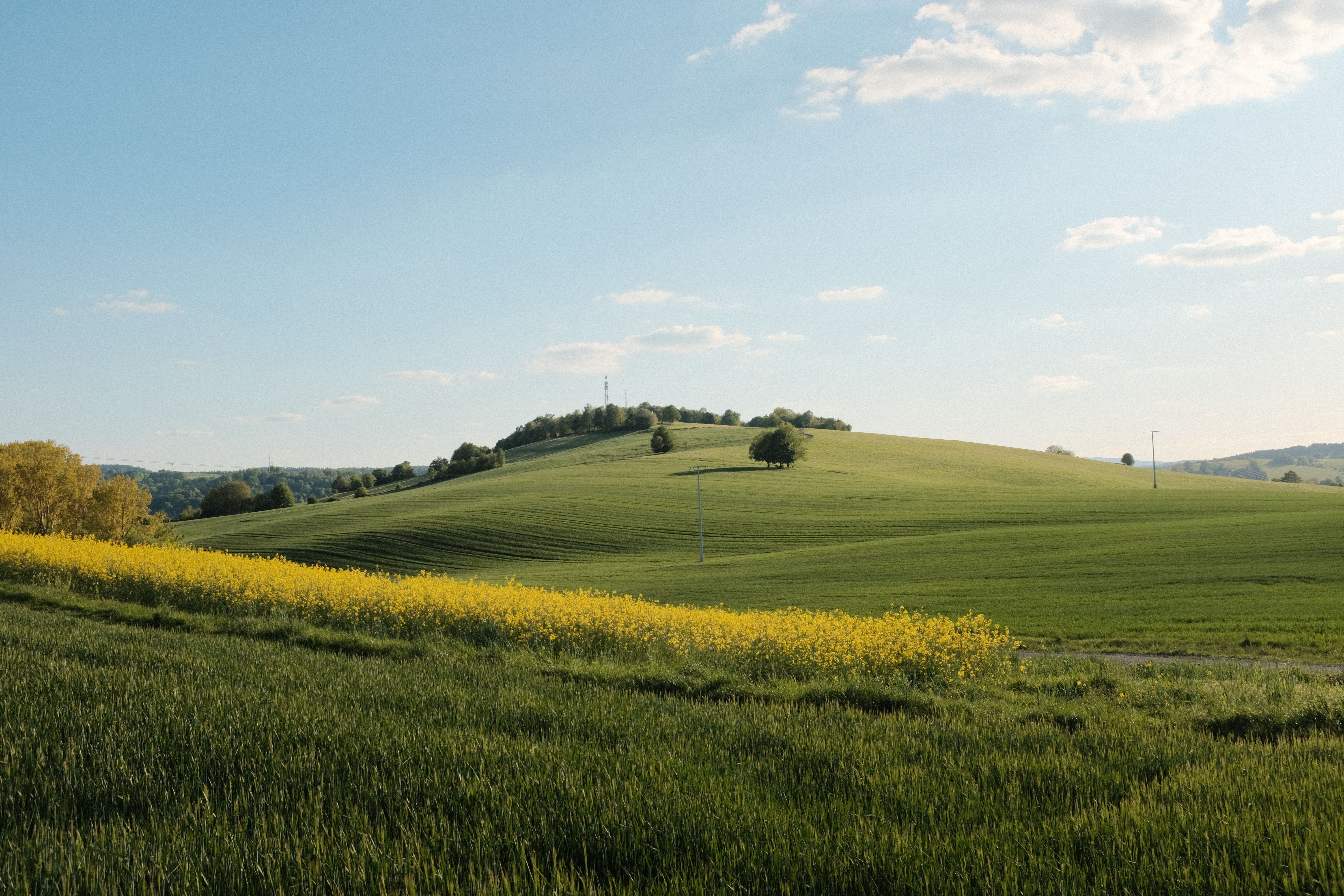 Beautiful Rolling Hills Landscape in Spring · Free Stock Photo
