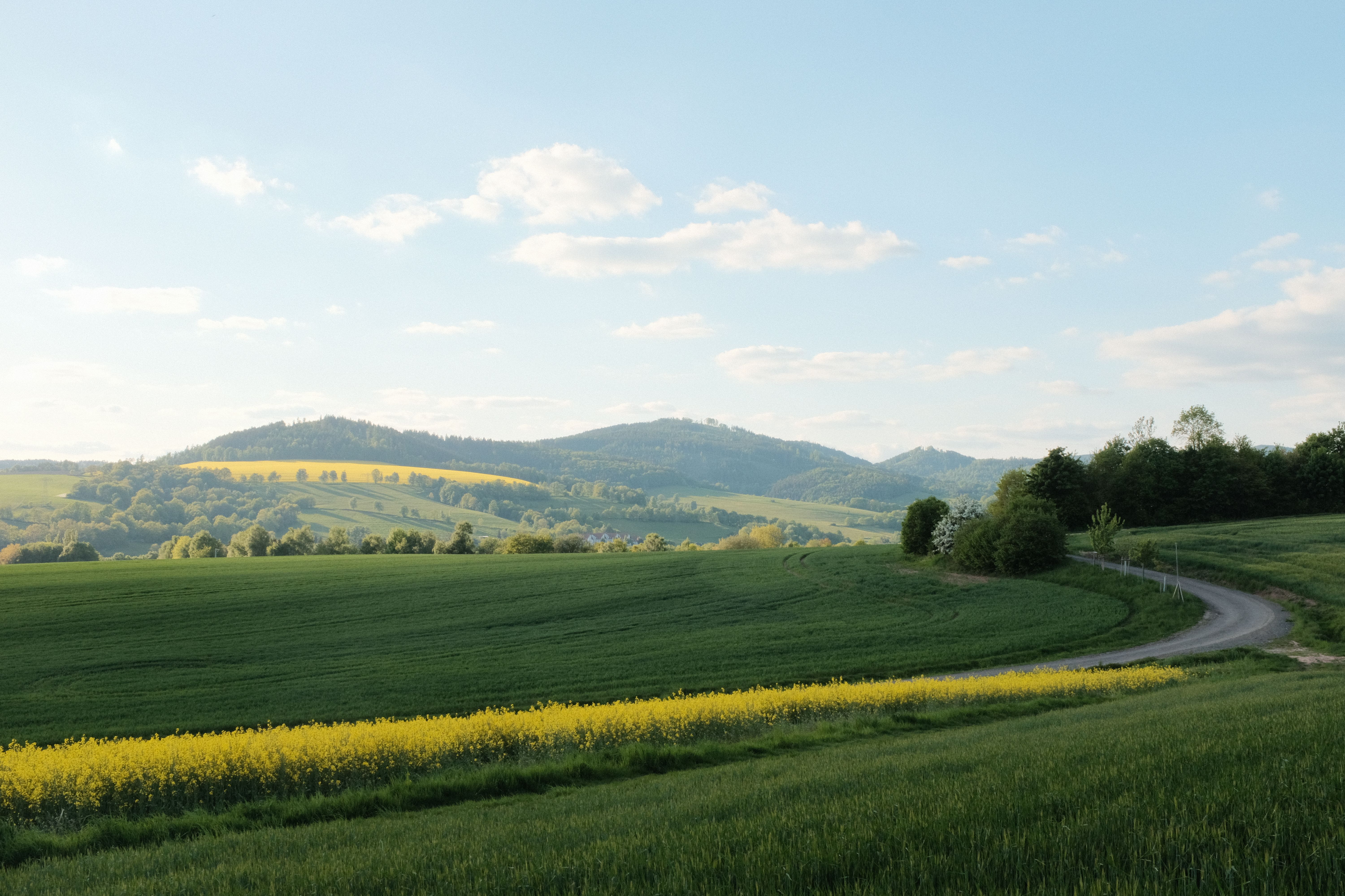 Scenic Spring Landscape with Rolling Hills and Fields · Free Stock Photo