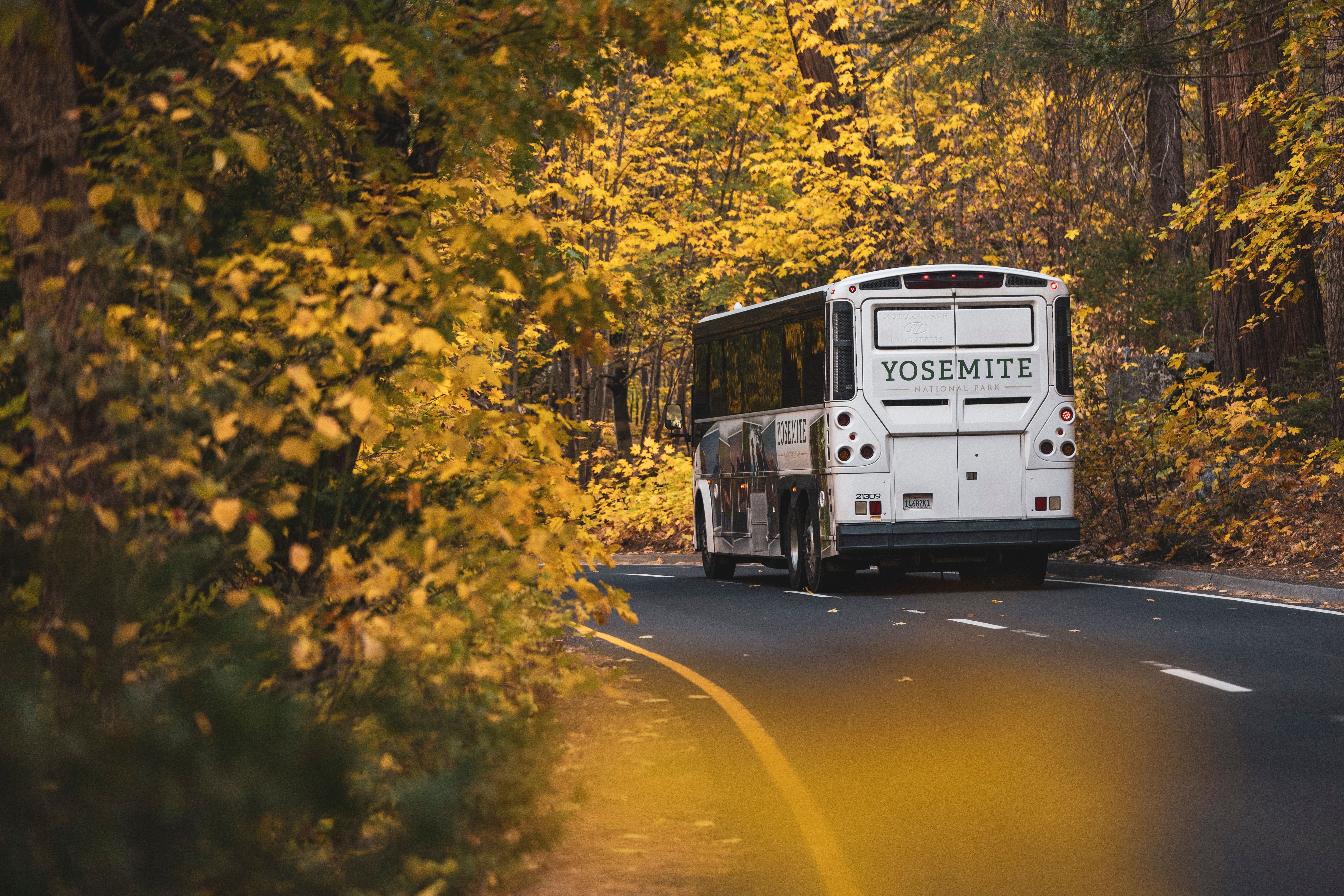 Bus journey through autumn in Yosemite Park · Free Stock Photo