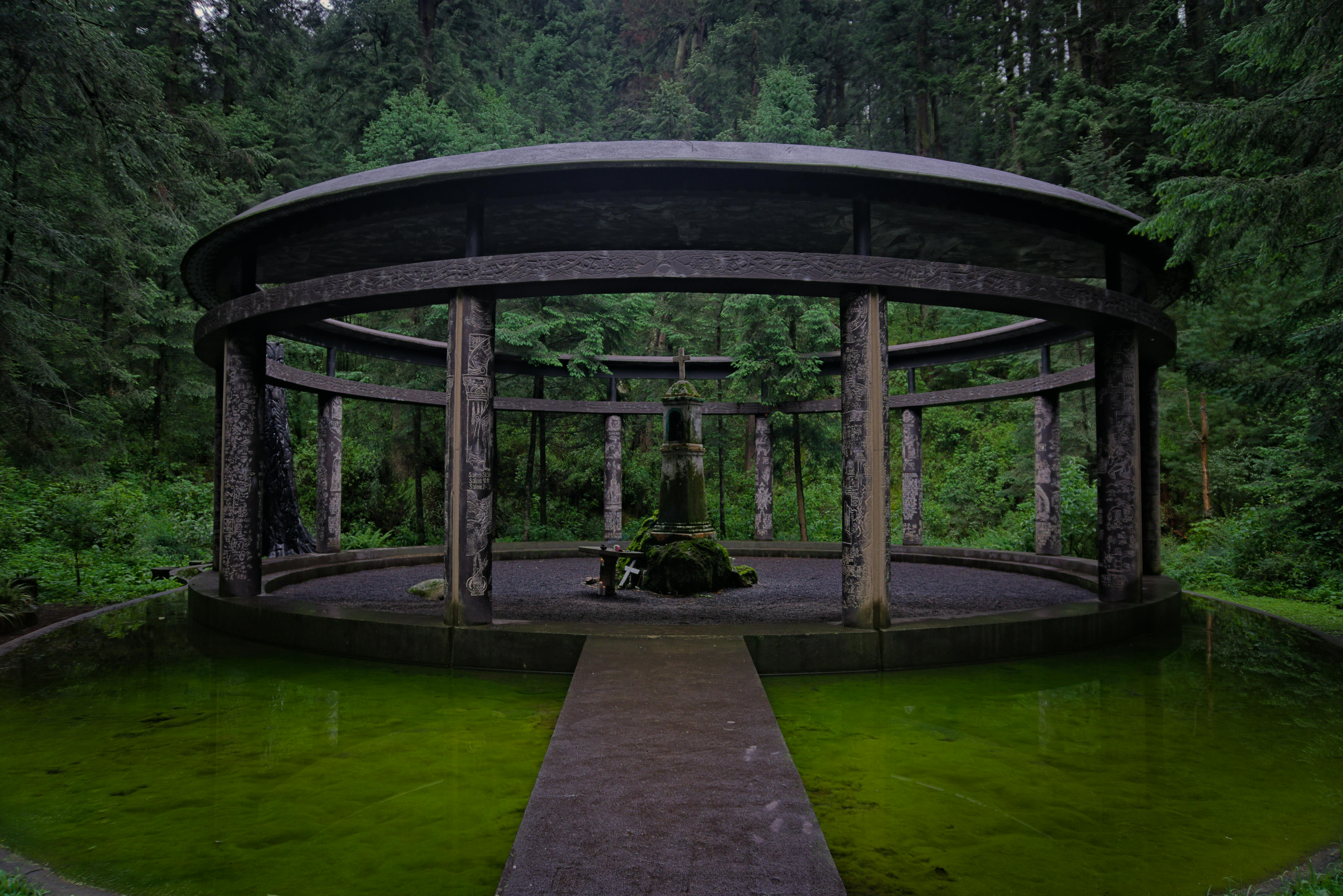 Serene Forest Monument with Circular Structure · Free Stock Photo