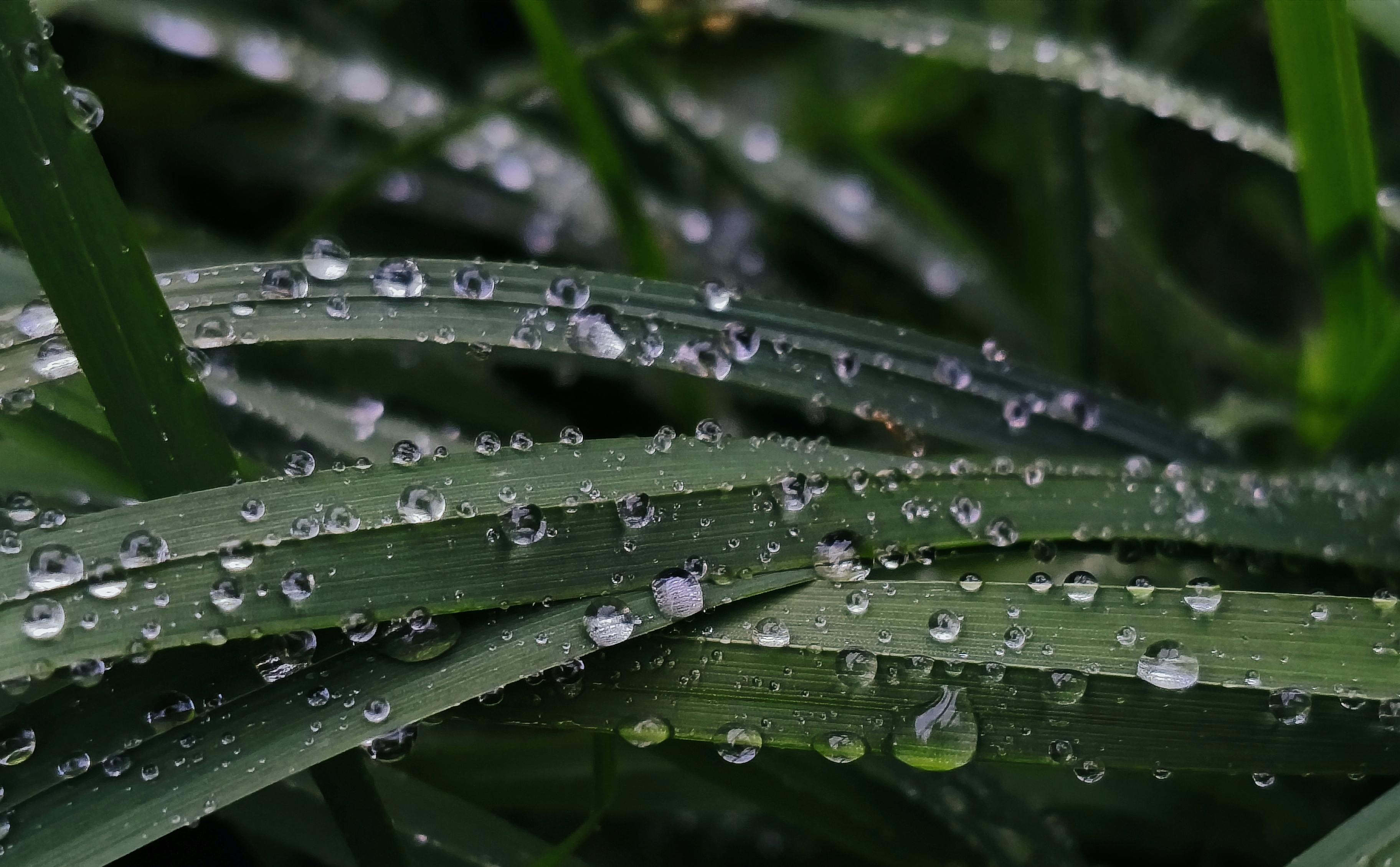 High Resolution 300 Dpi Photos, Download The BEST Free High Resolution ...