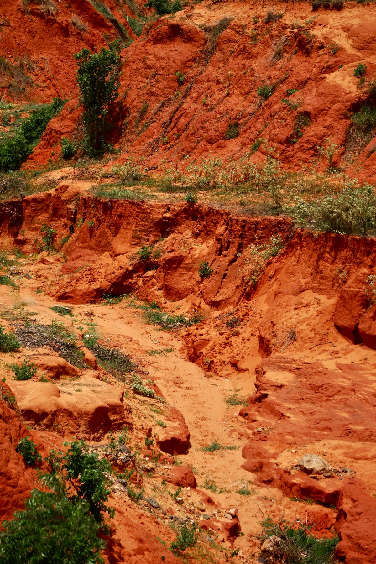 Soil Erosion Photos, Download The BEST Free Soil Erosion Stock Photos ...